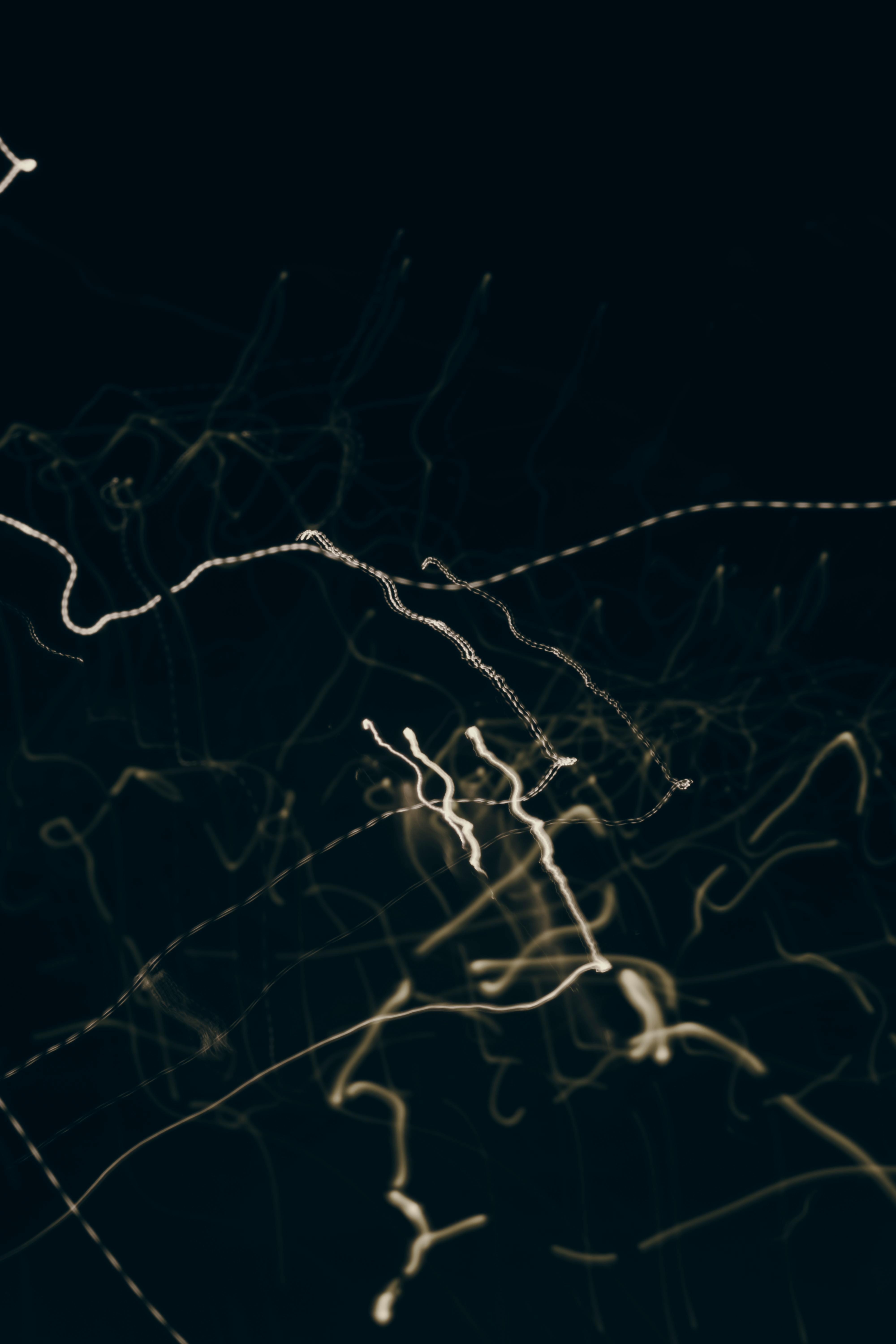 White Lines Photos, Download The BEST Free White Lines Stock Photos ...