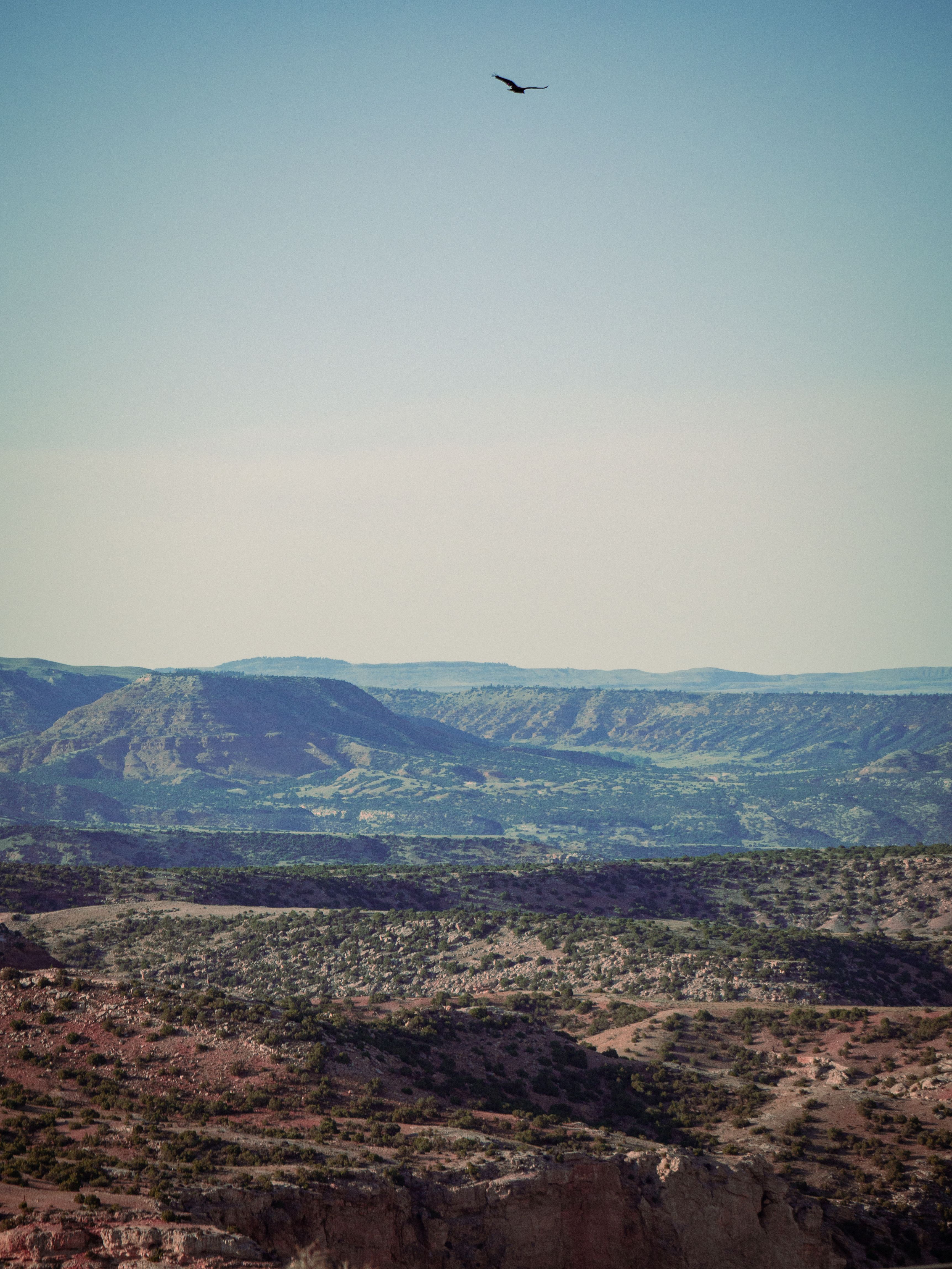 Rolling Desert Landscape · Free Stock Photo