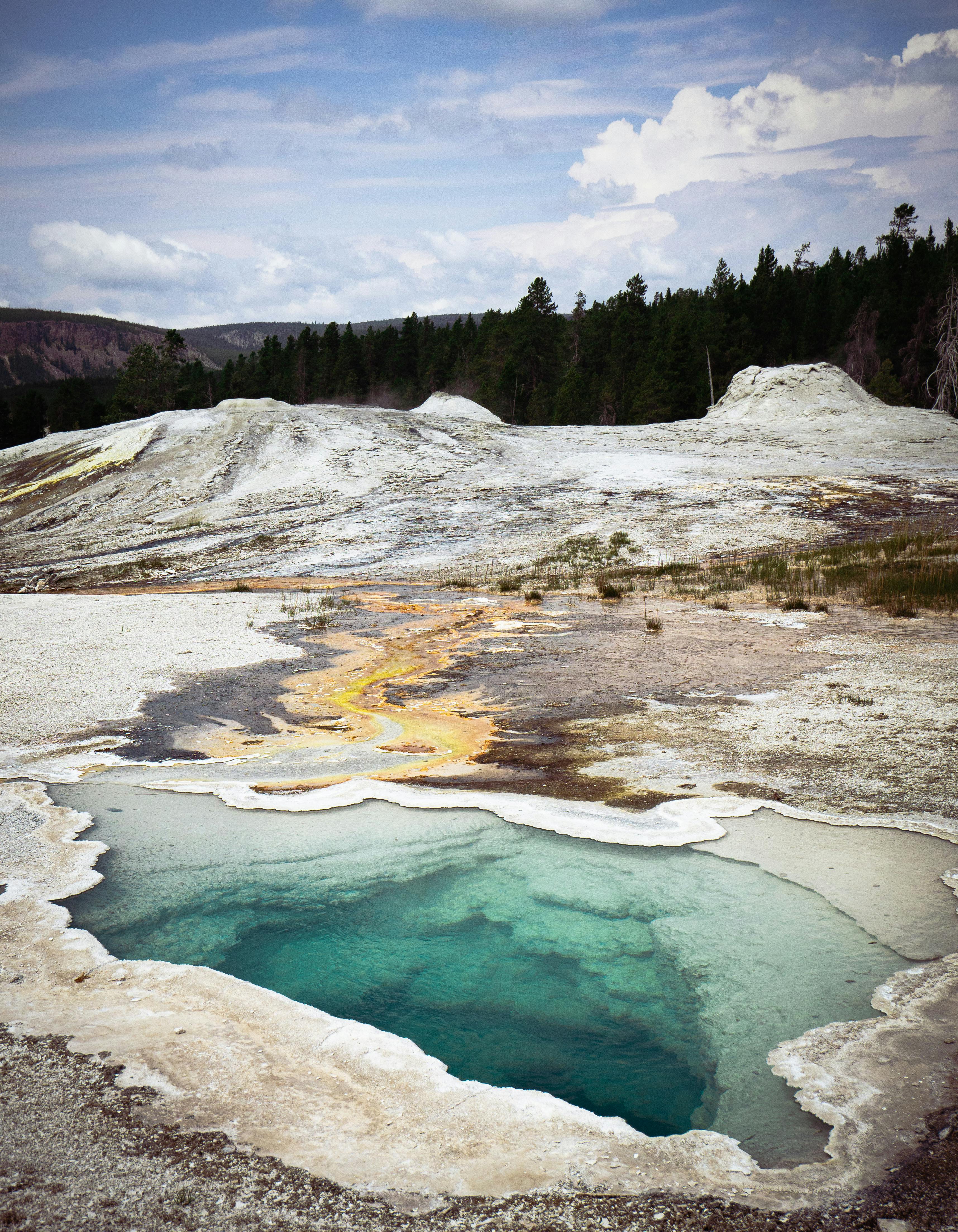 Hot Spring near Forest · Free Stock Photo