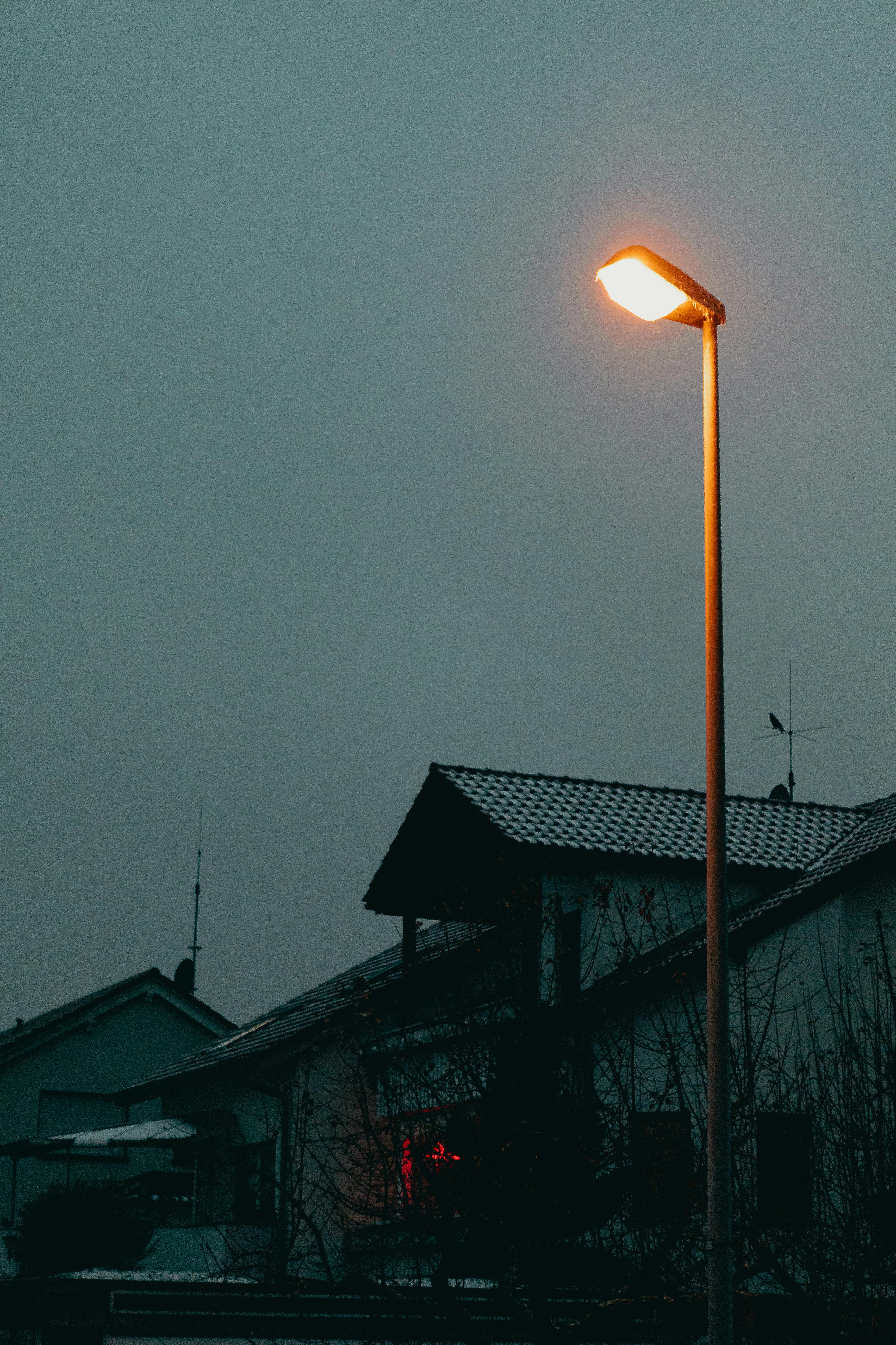 An Illuminated Street Light Near Houses · Free Stock Photo