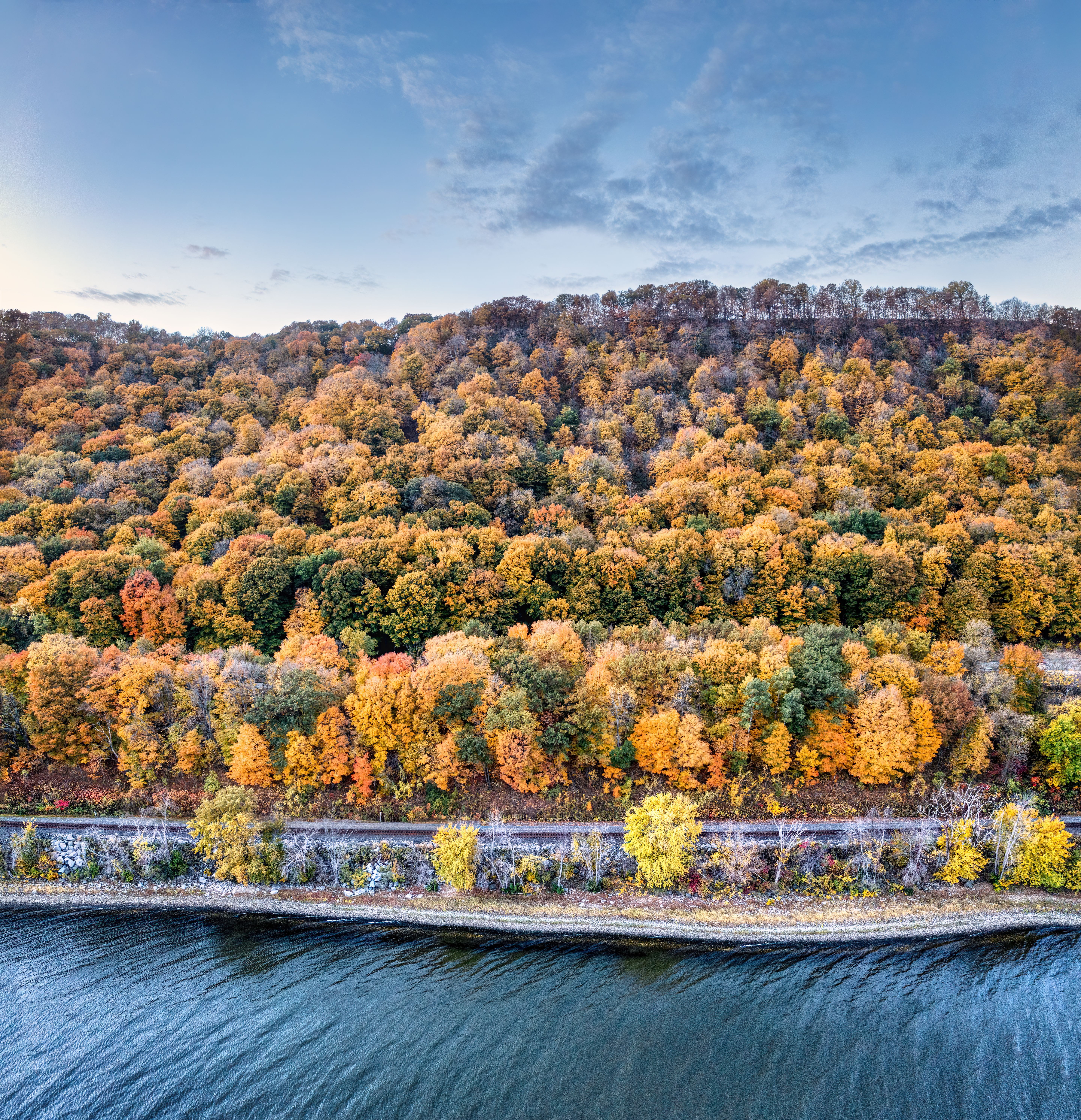 Aerial Photography of Autumn Trees Near Body of water · Free Stock Photo