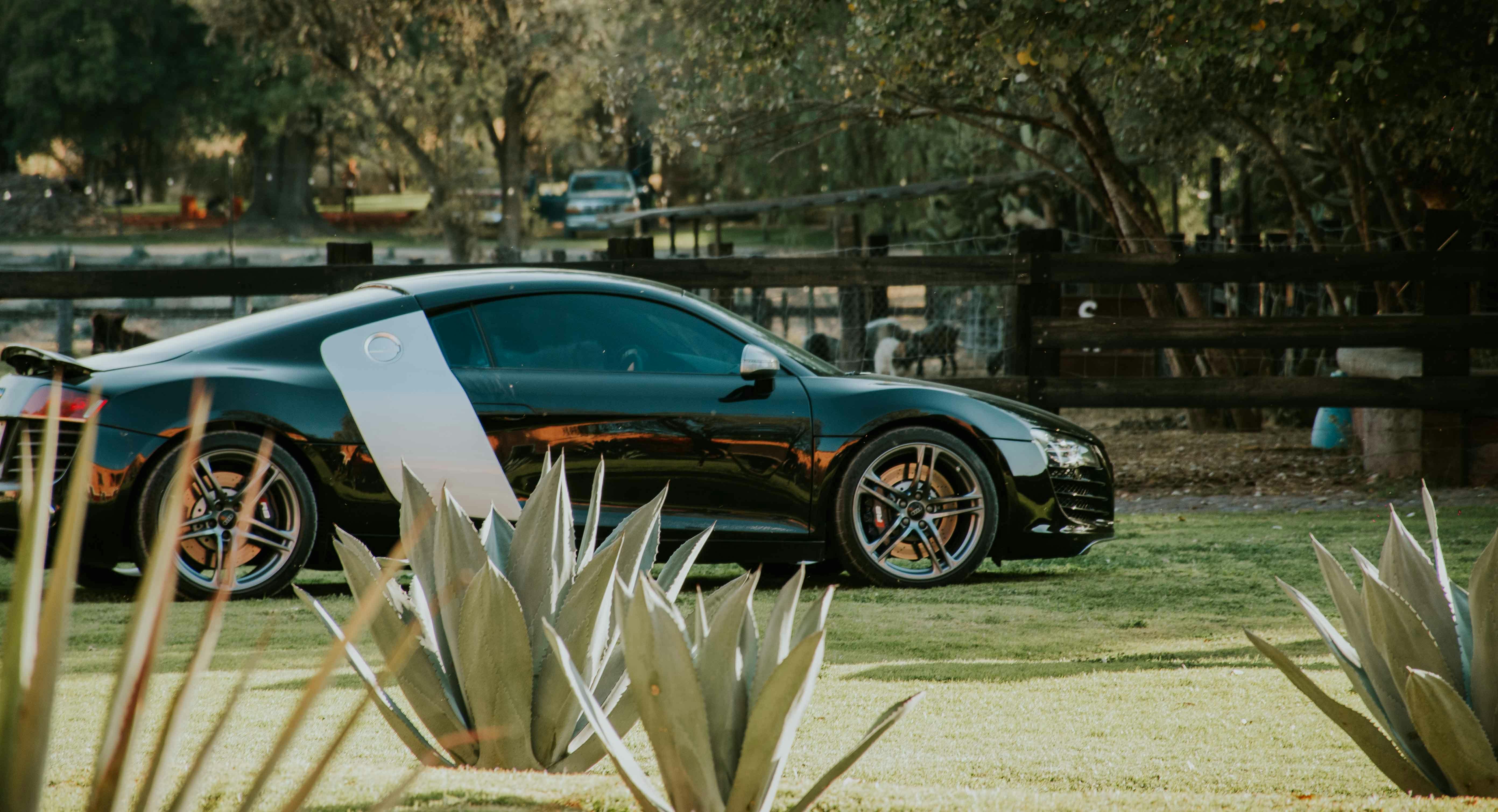 Black Audi R8 at Farm · Free Stock Photo