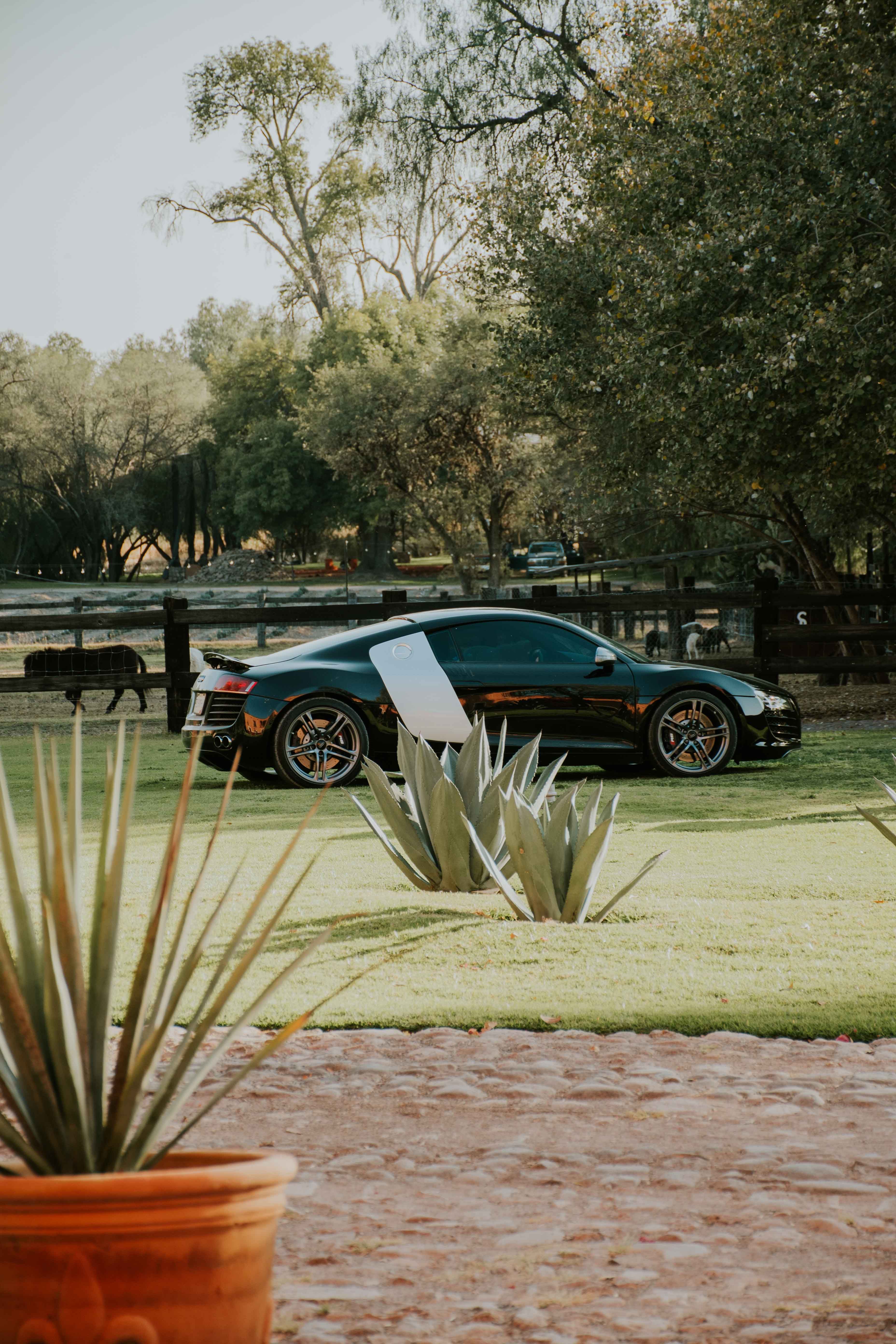 People Riding in a Blue Audi R8 Sports Car · Free Stock Photo