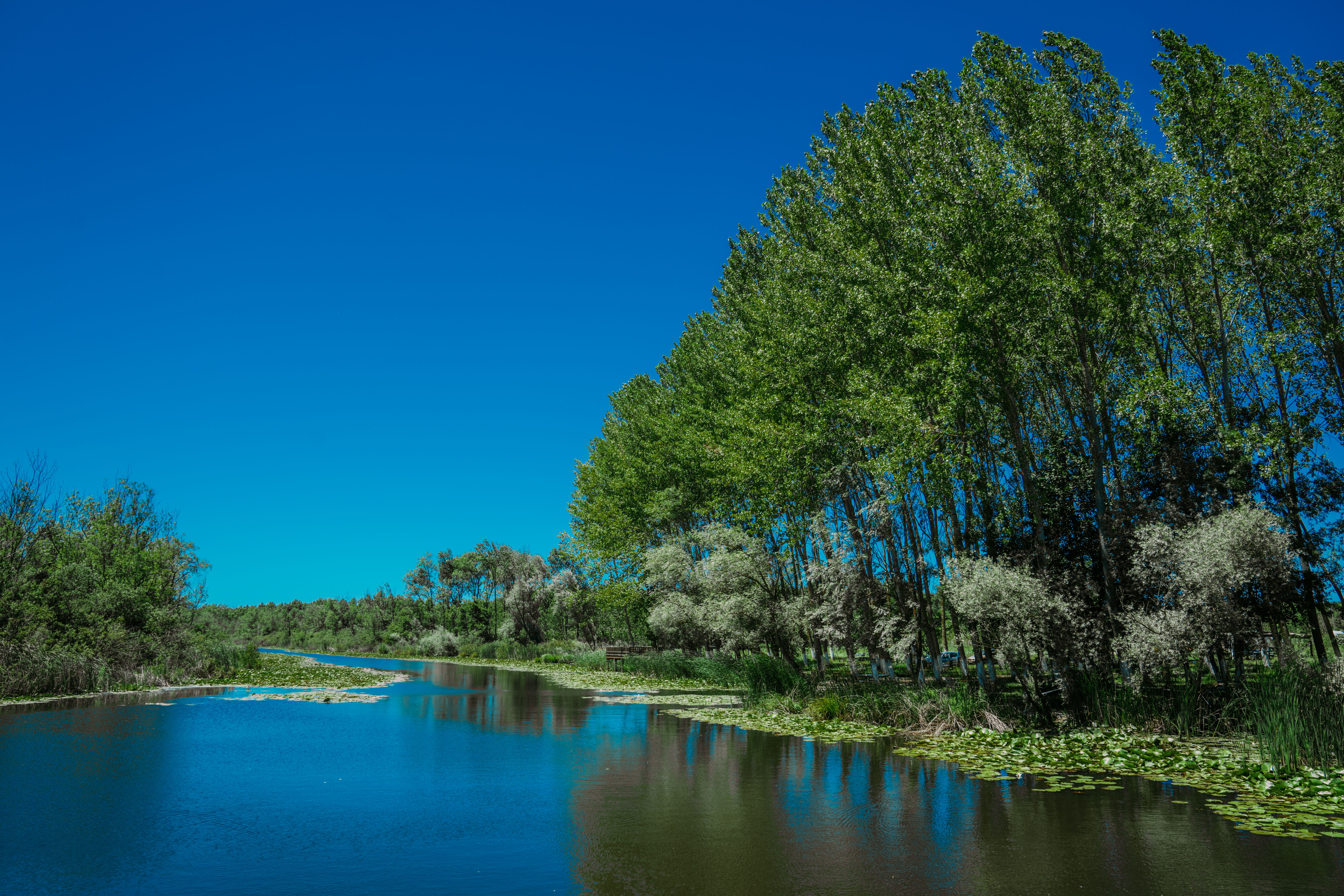 Clear Sky over River · Free Stock Photo