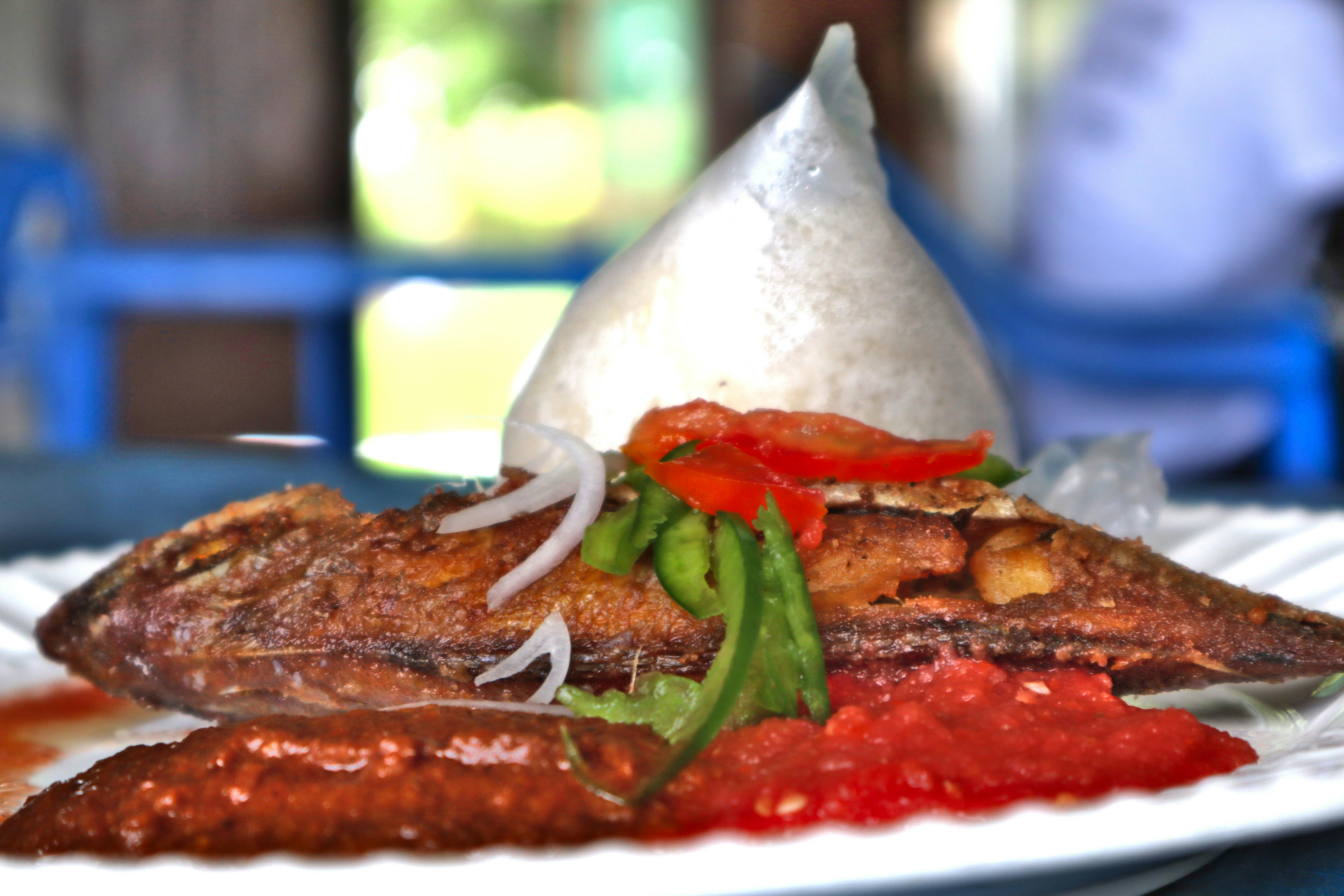 Free stock photo of banku, fish, food