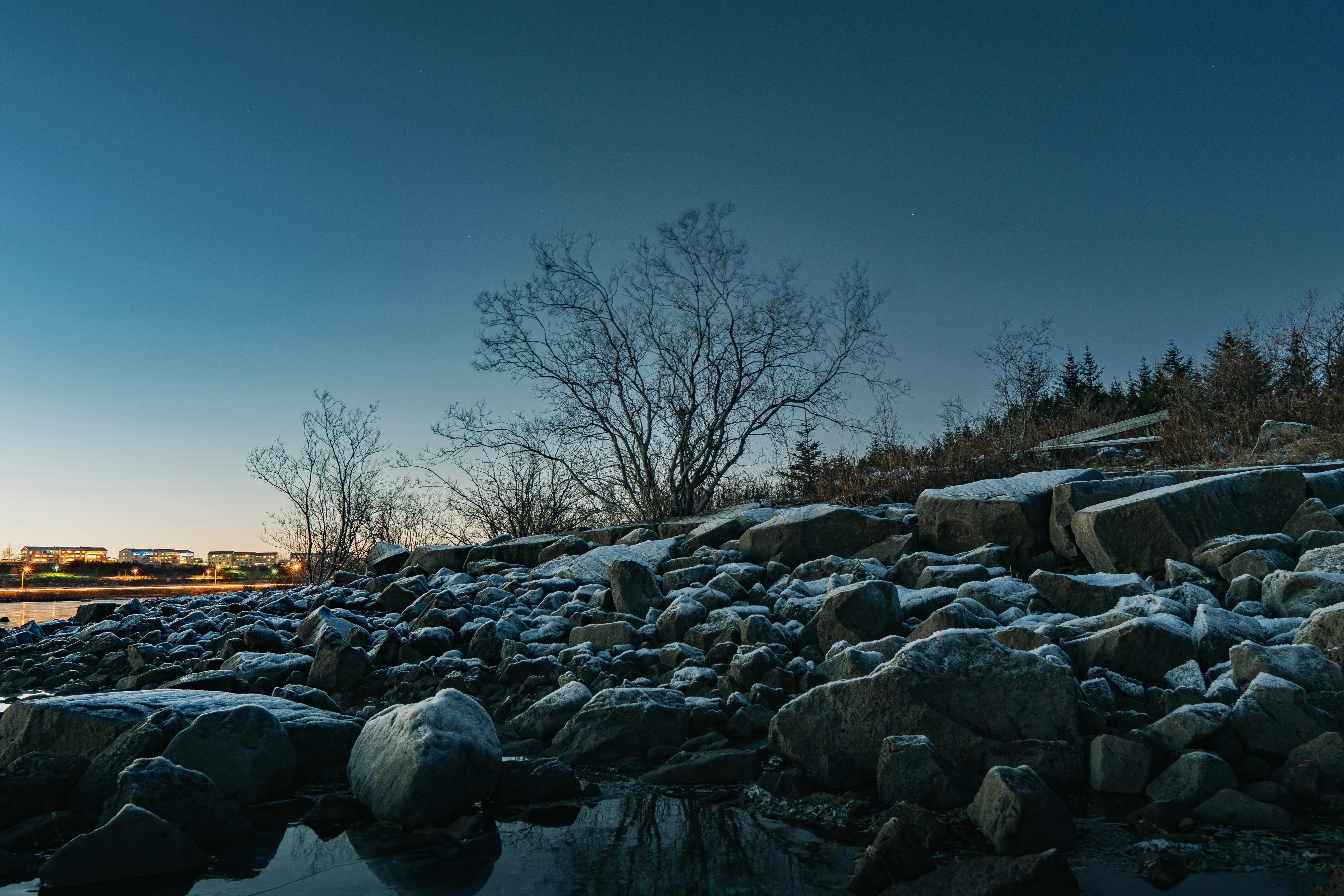 Rocky Beach at Night · Free Stock Photo