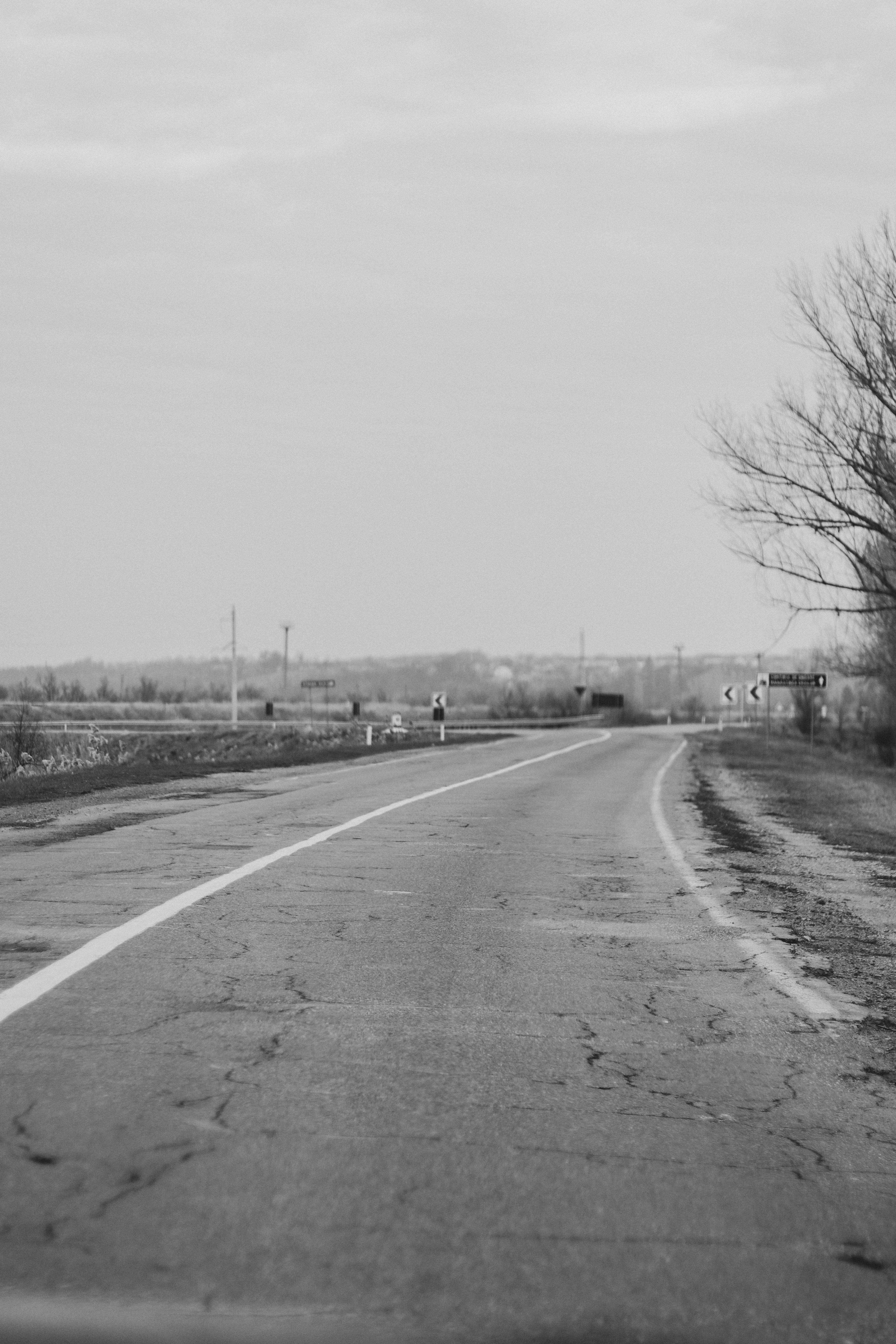 Grayscale Photo of Street With Traffic Light During Night Time · Free ...