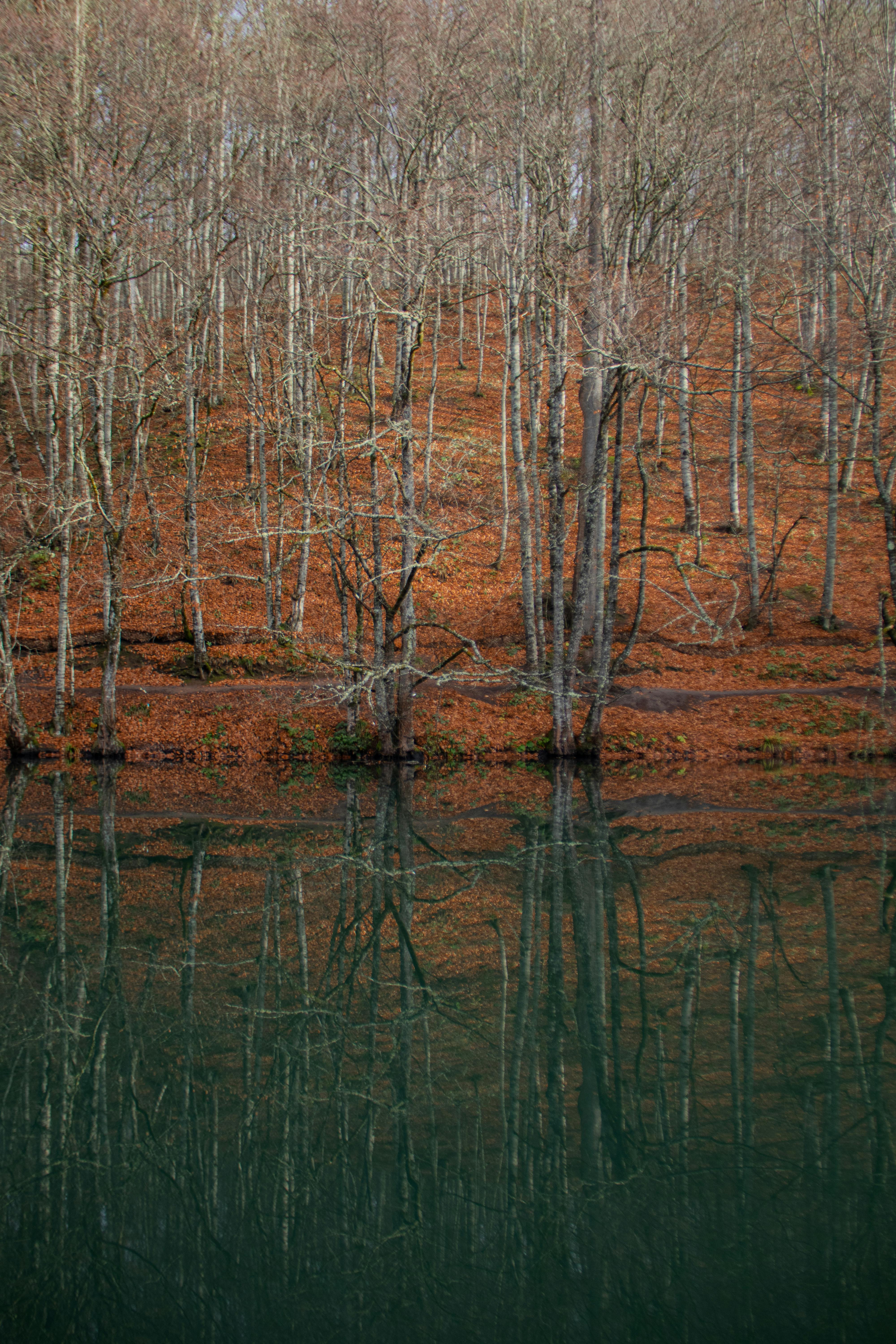 Bible Scenery Photos, Download The BEST Free Bible Scenery Stock Photos ...