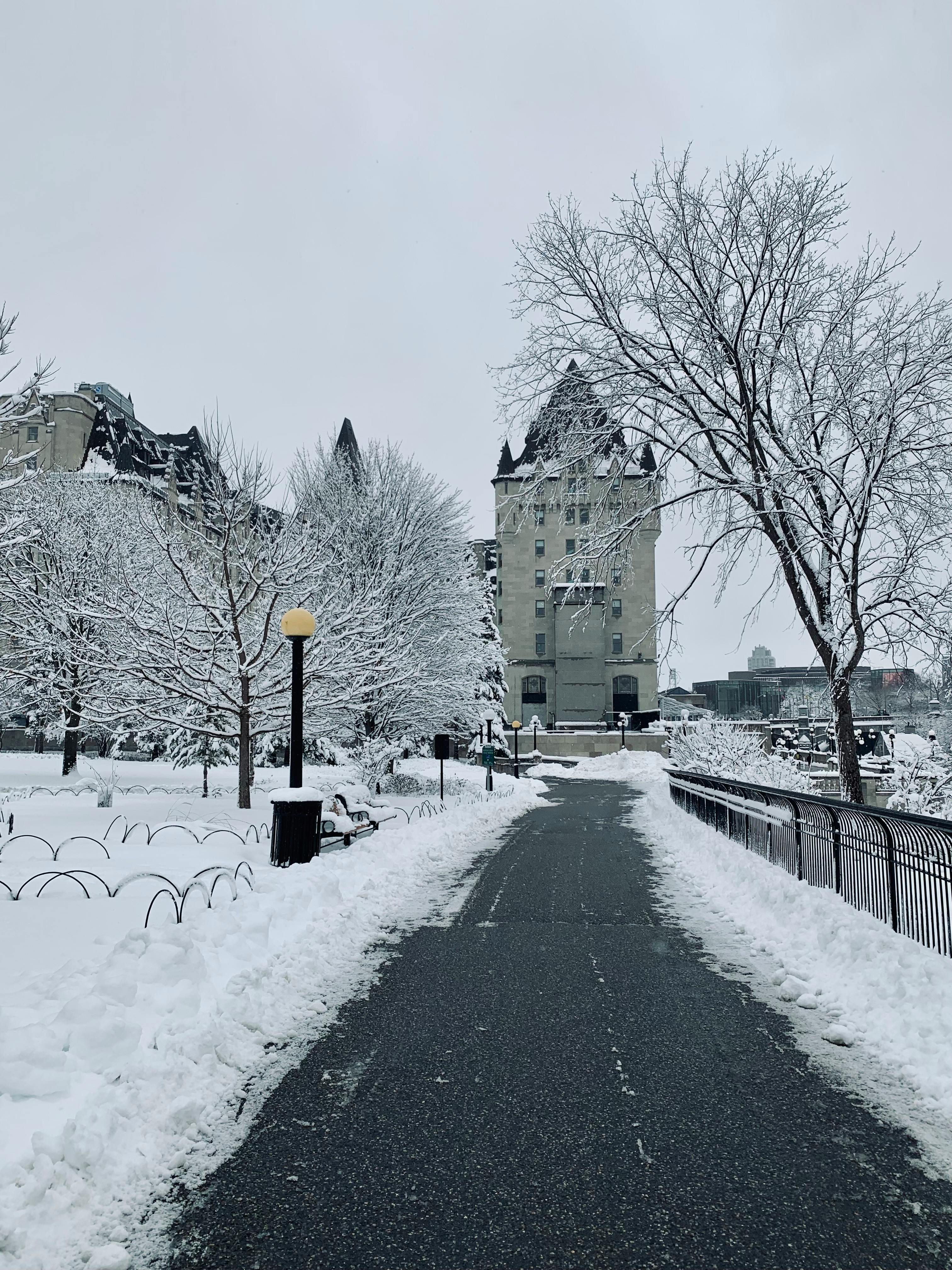 What is cold palace?