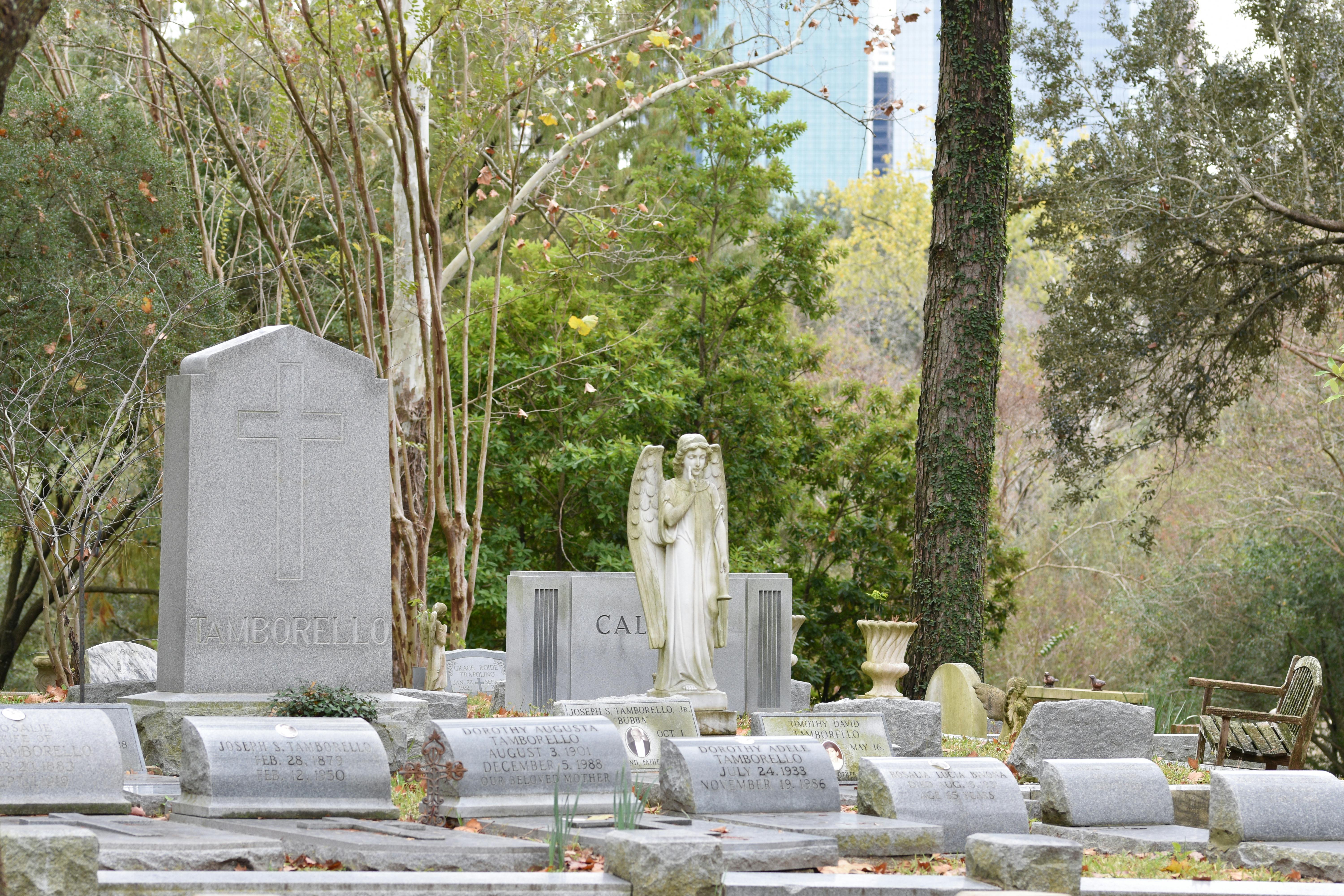Graves in Cemetery · Free Stock Photo
