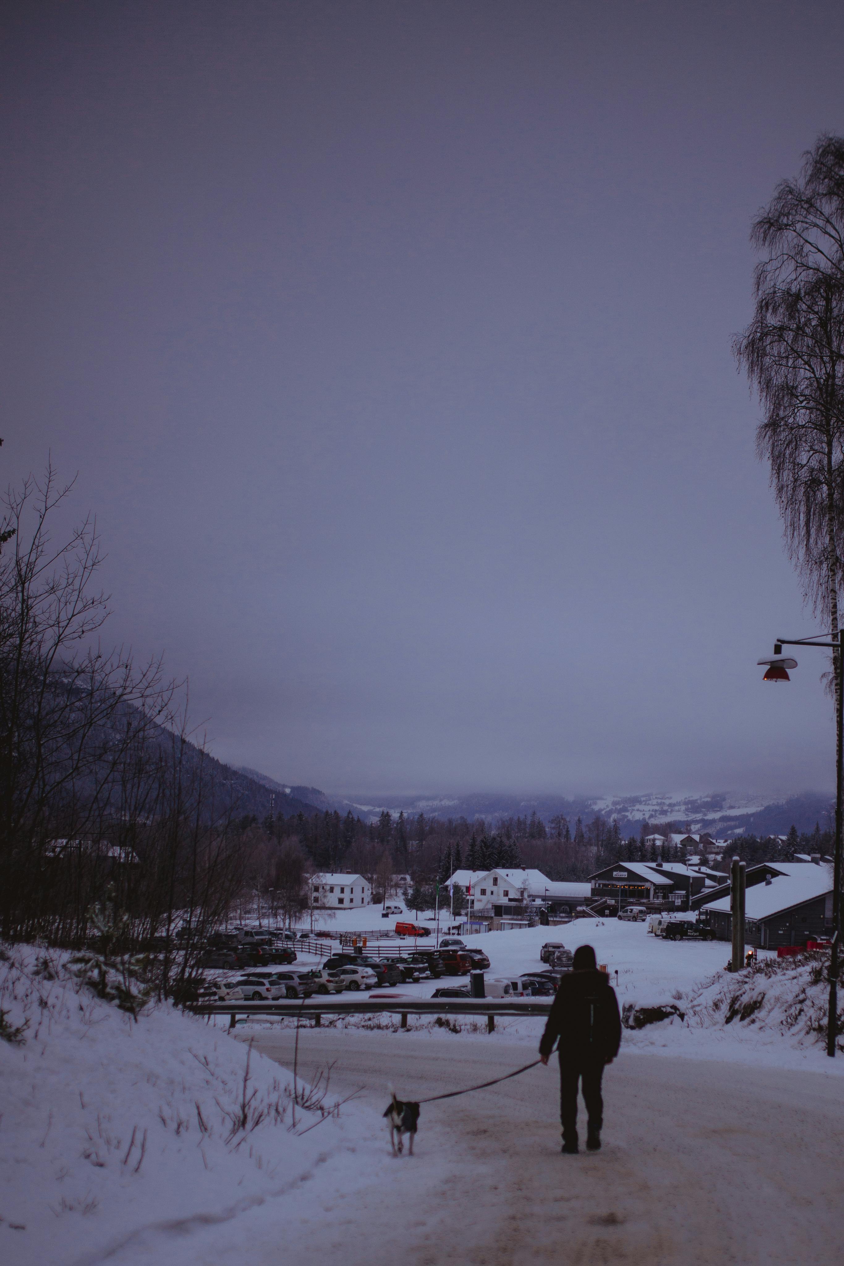 5 Star Animation Photos, Download The BEST Free 5 Star Animation Stock ...