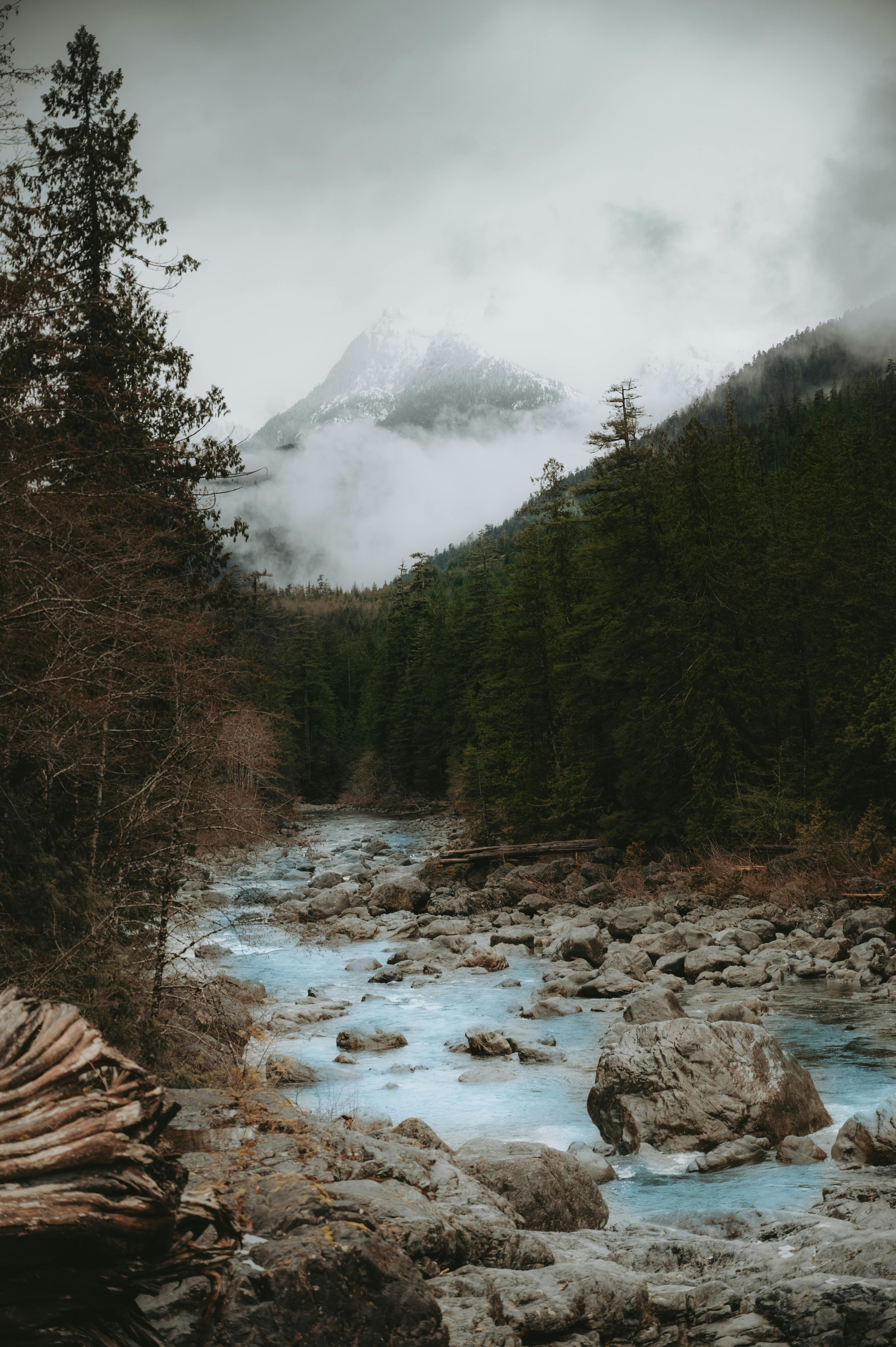 Rocky River in Forest with Mountains in the Distance · Free Stock Photo