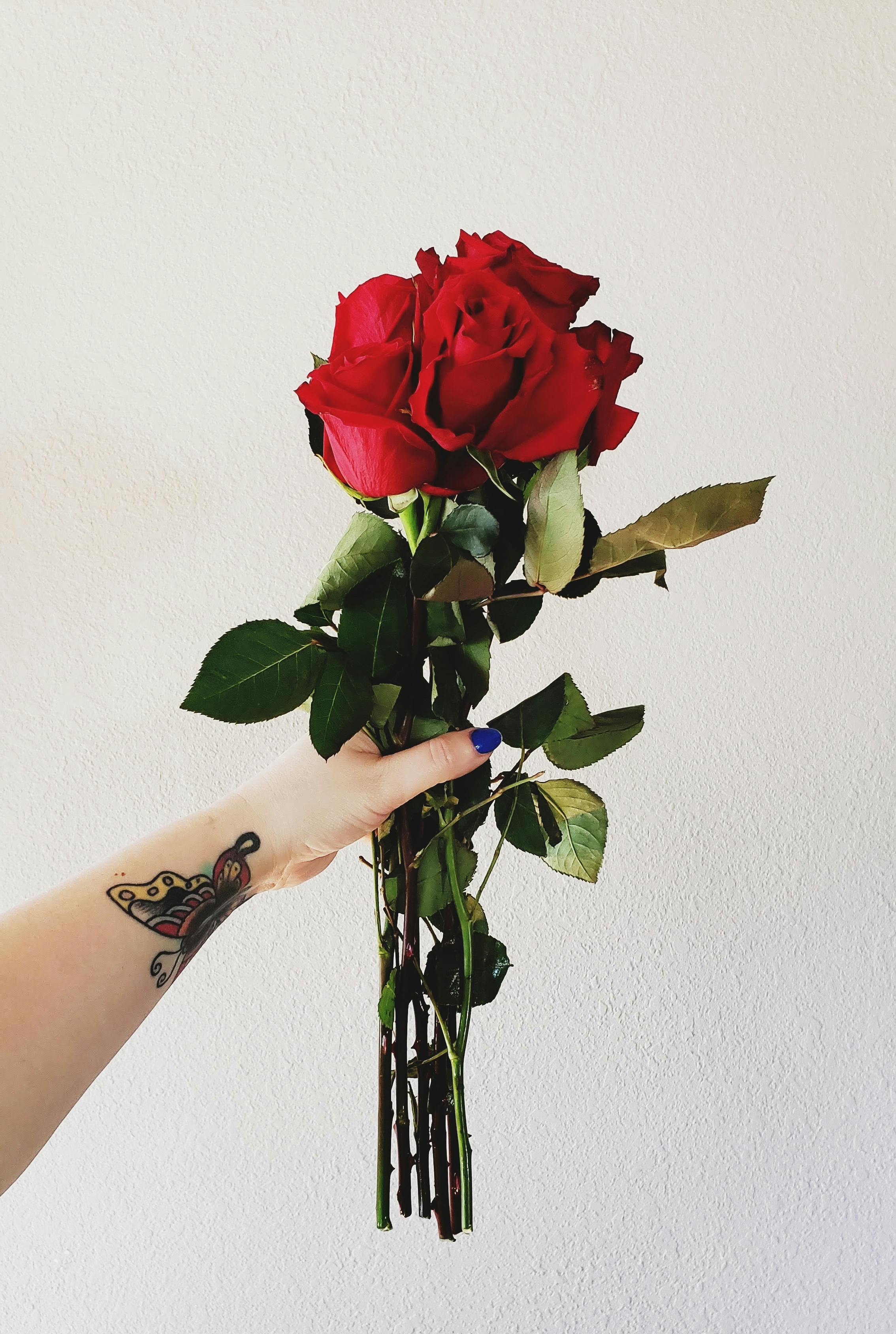 A Person Holding Red Roses · Free Stock Photo