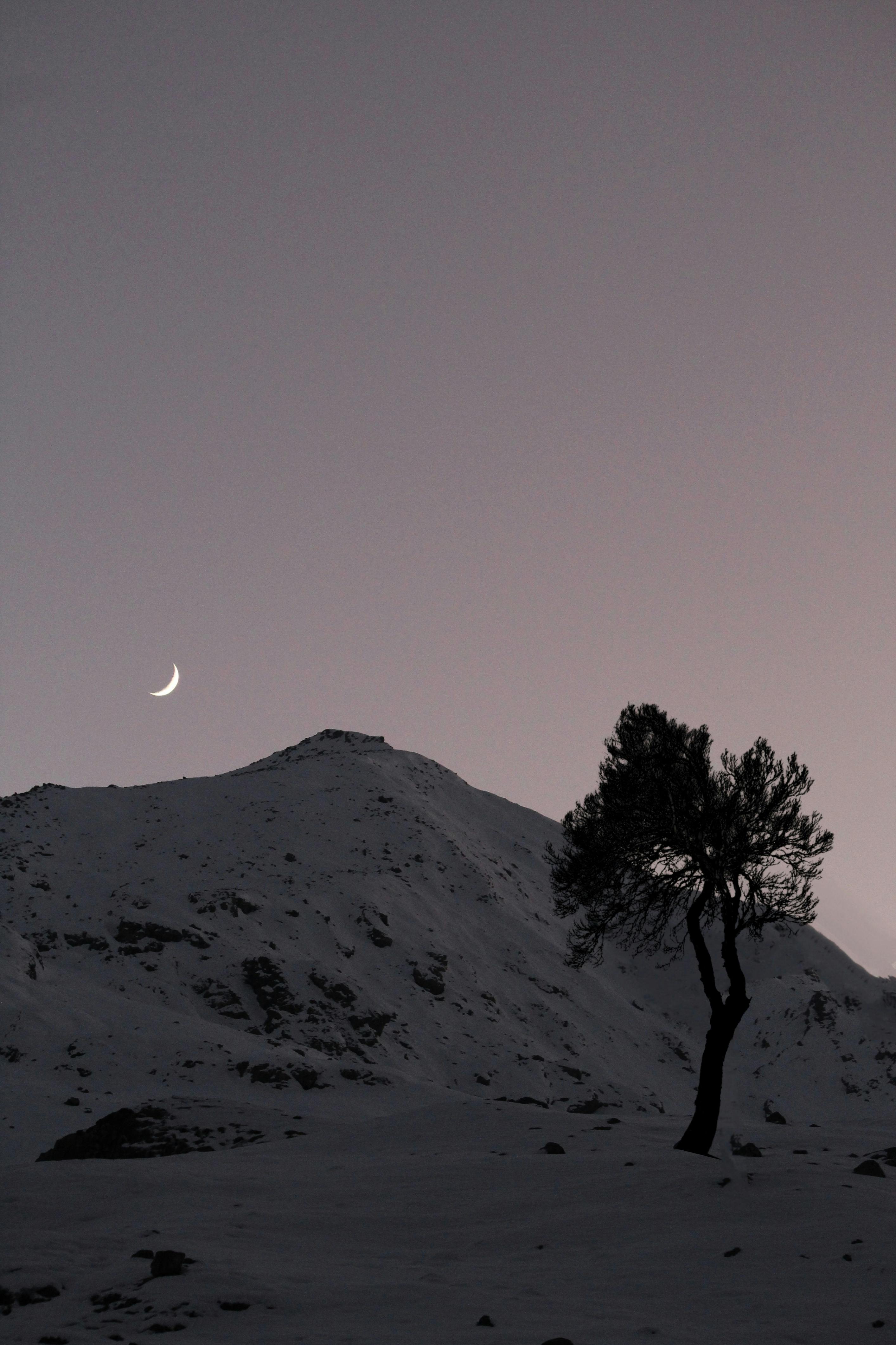 Crescent Moon Under Snow Covered Mountain Near Tree · Free Stock Photo