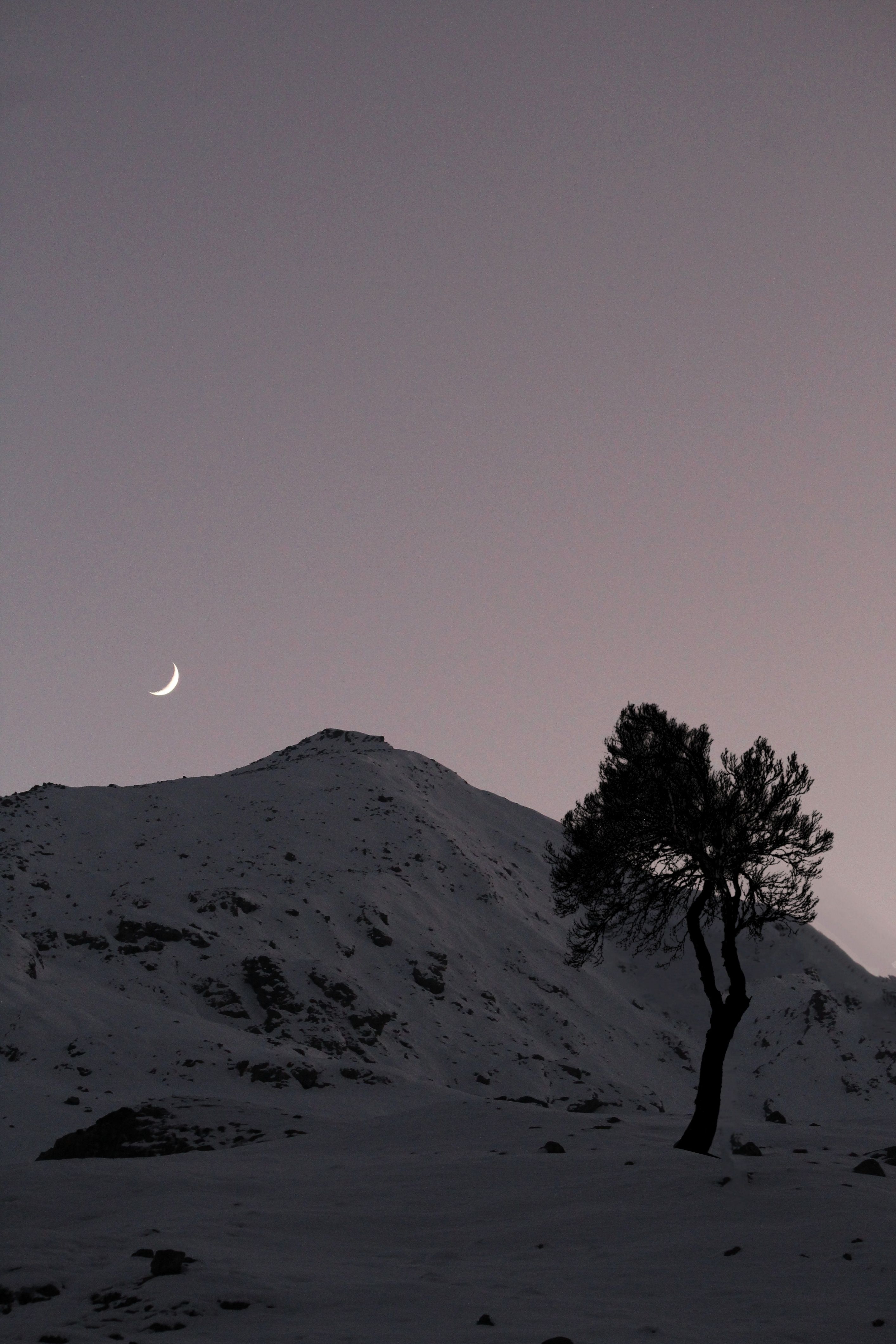 Crescent Moon Under Snow Covered Mountain Near Tree · Free Stock Photo