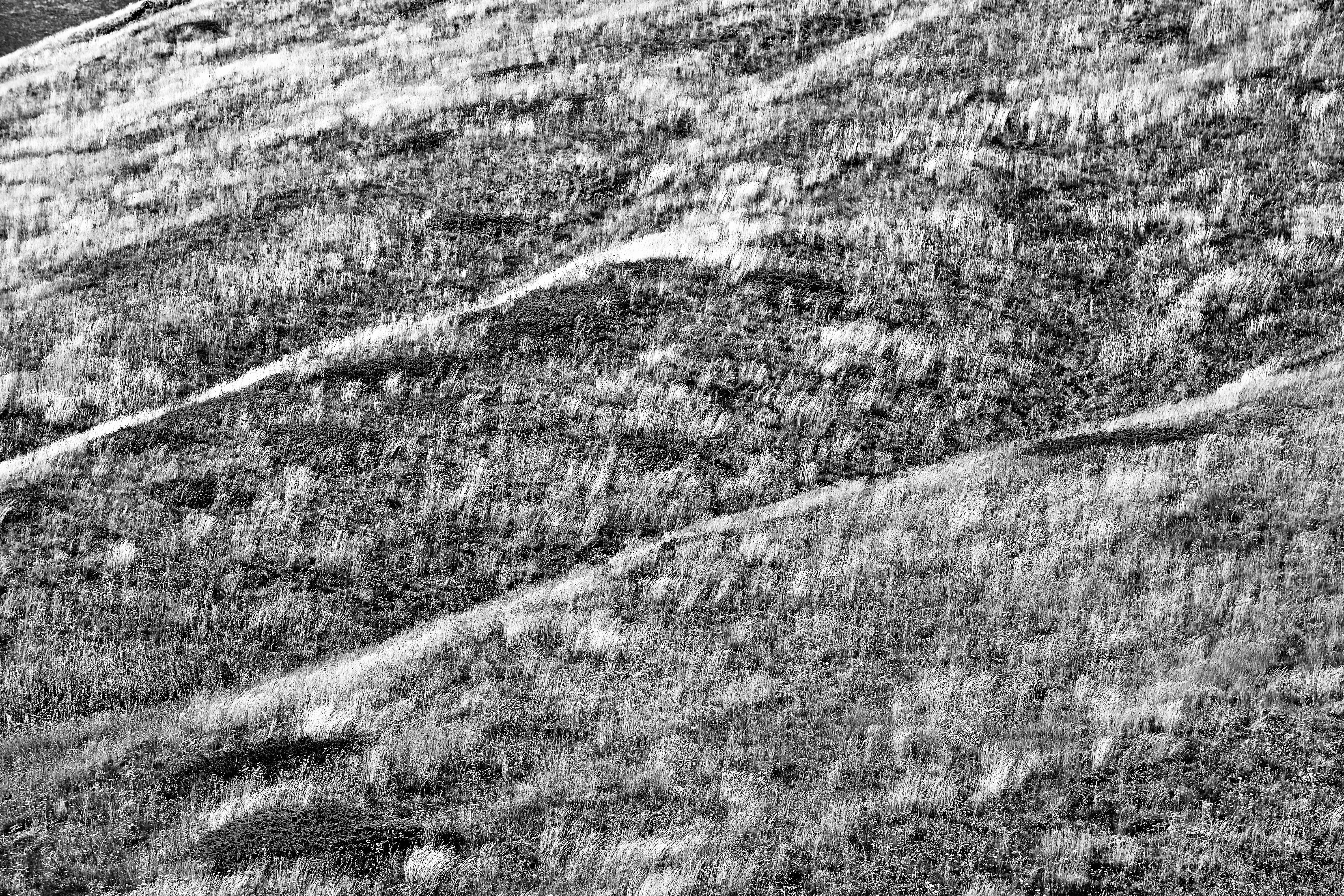 Grayscale Photo of Grass Field on Hills · Free Stock Photo