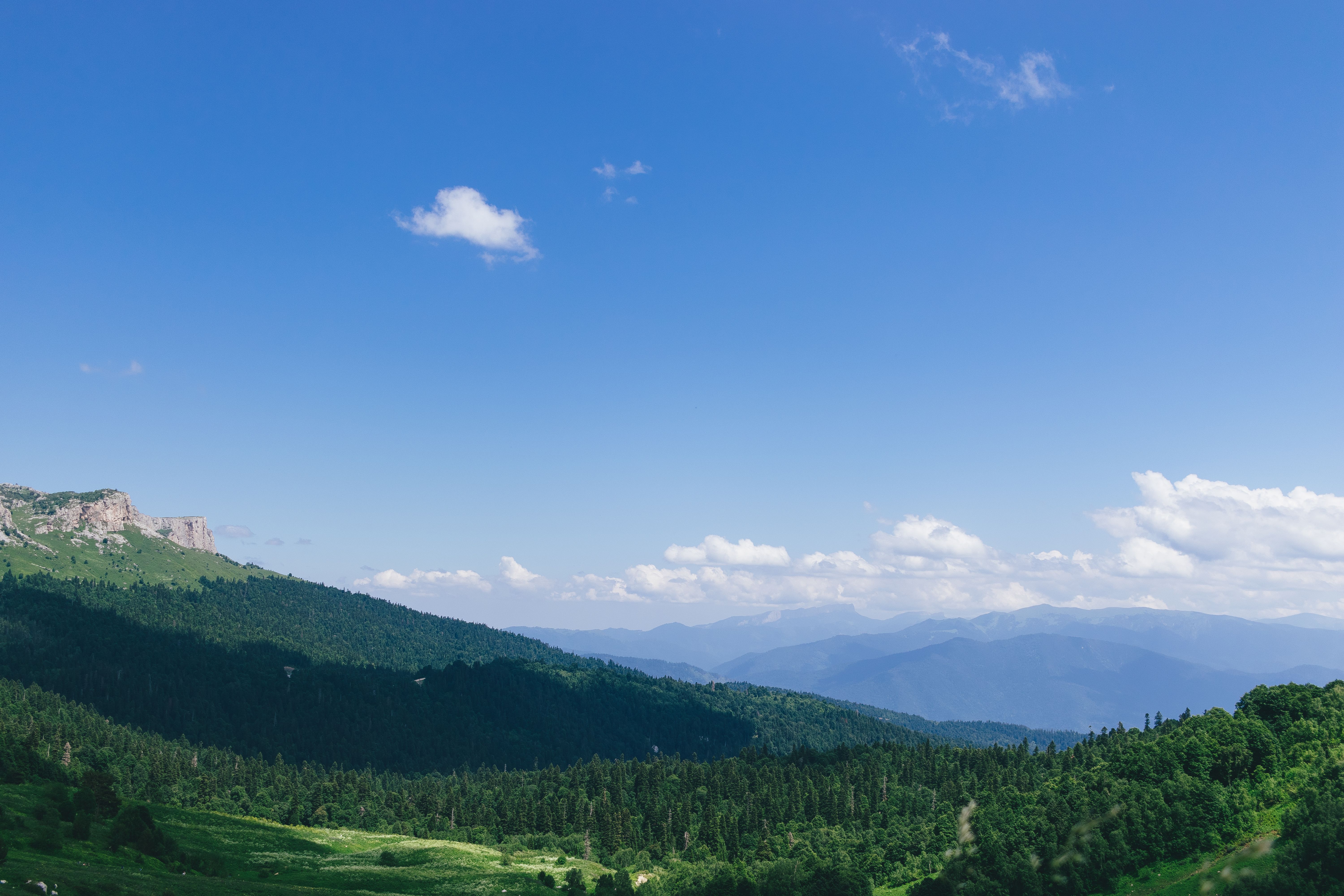 Green Forest on Hills in Mountains Landscape · Free Stock Photo