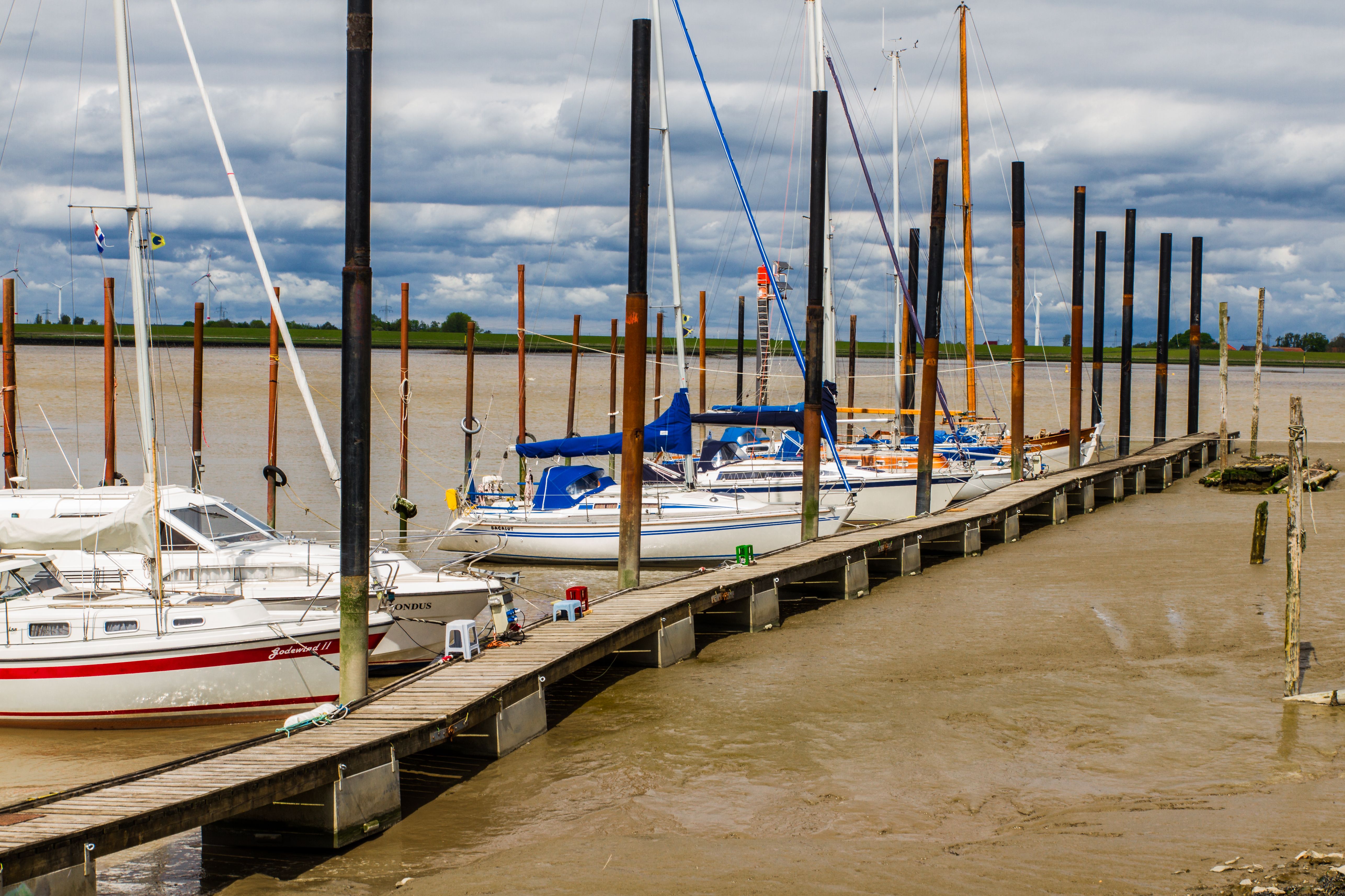 Photograph of White Sailboats on a Dock · Free Stock Photo