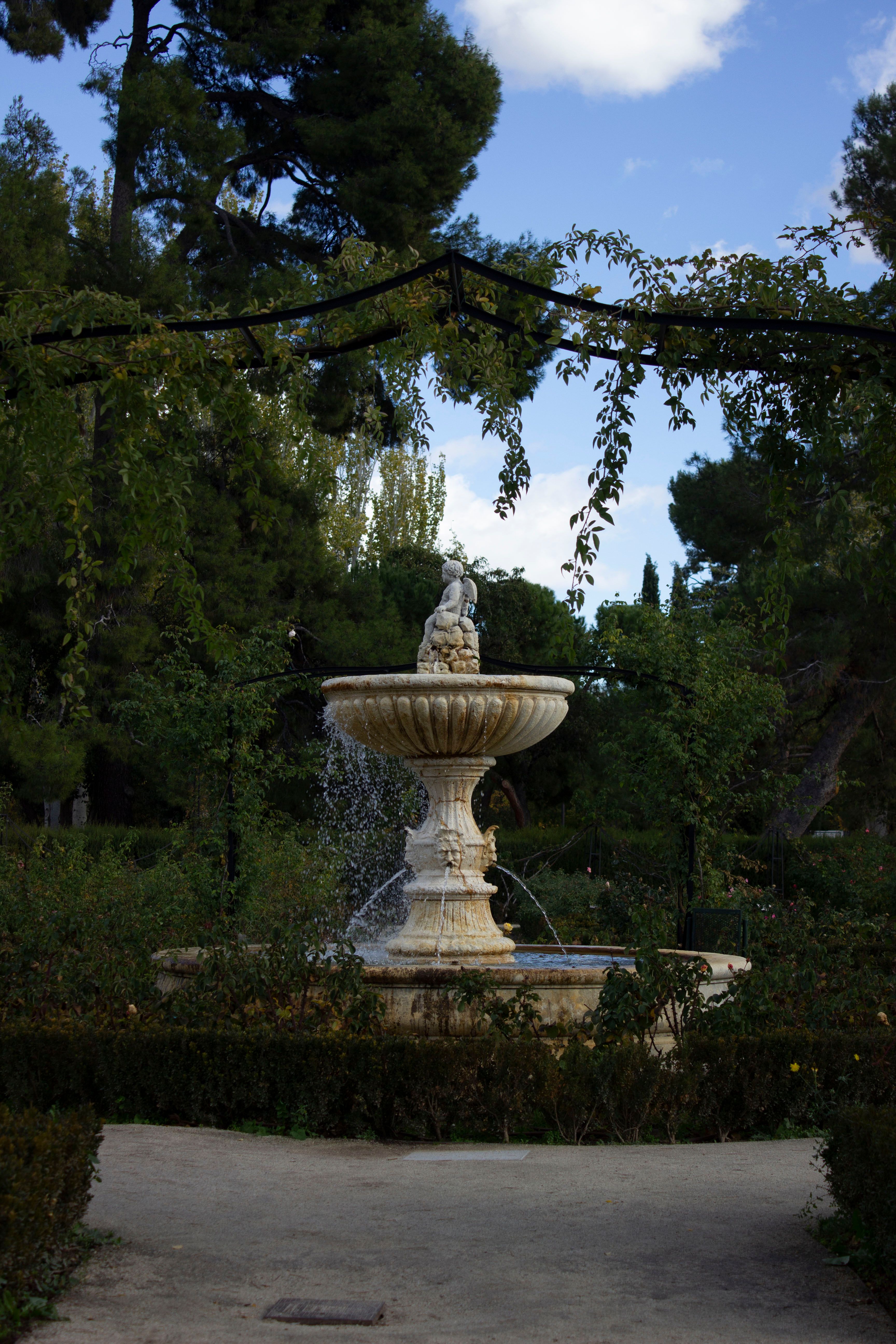 La Rosaleda - Parque del El Retiro · Free Stock Photo