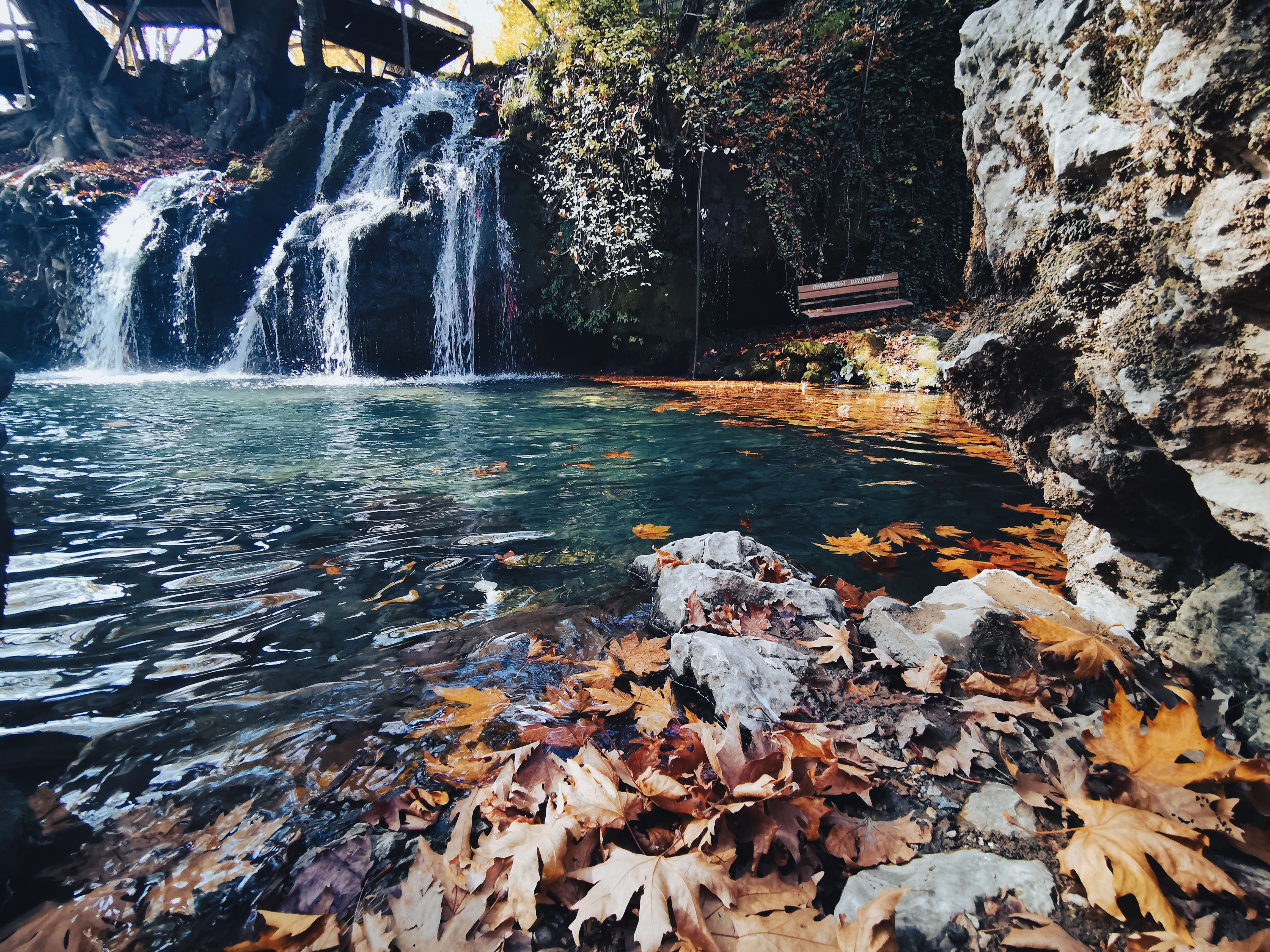 Autumn Leaves near Waterfall · Free Stock Photo
