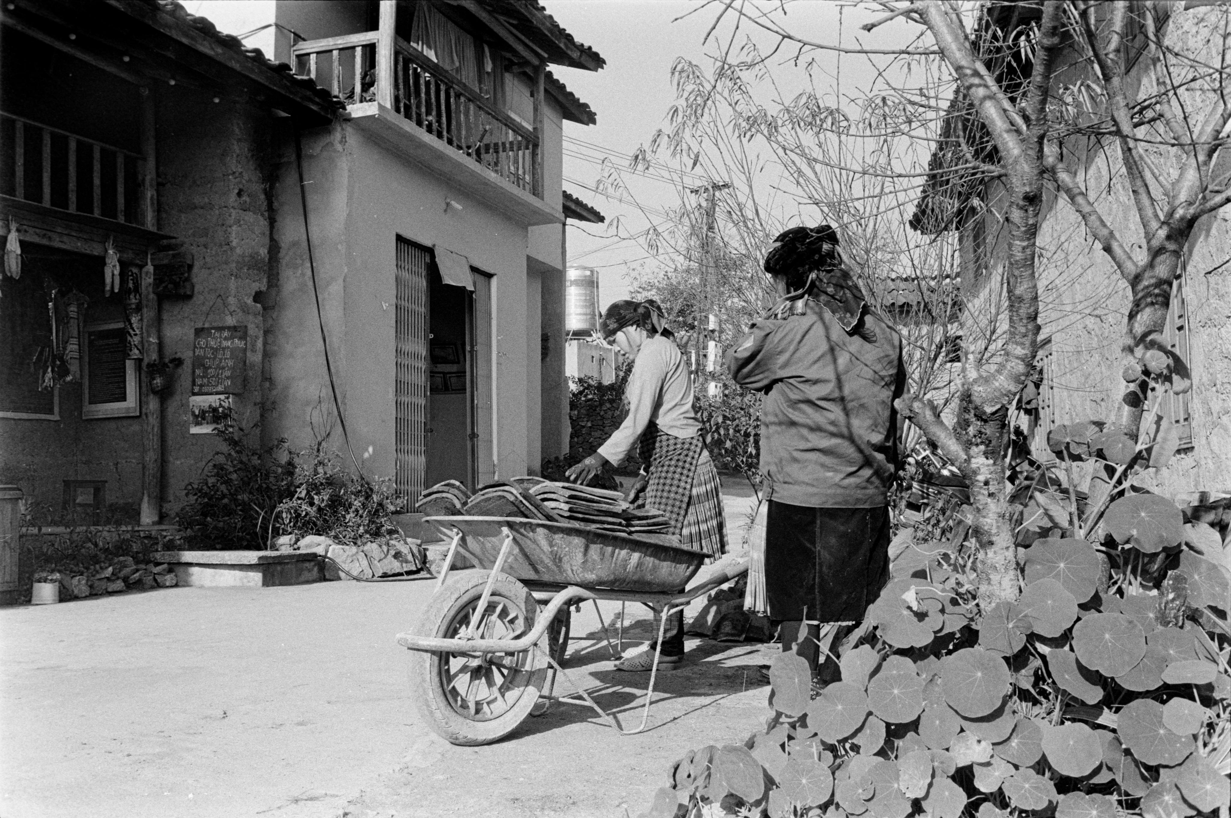 Women Standing near Wheelbarrow · Free Stock Photo