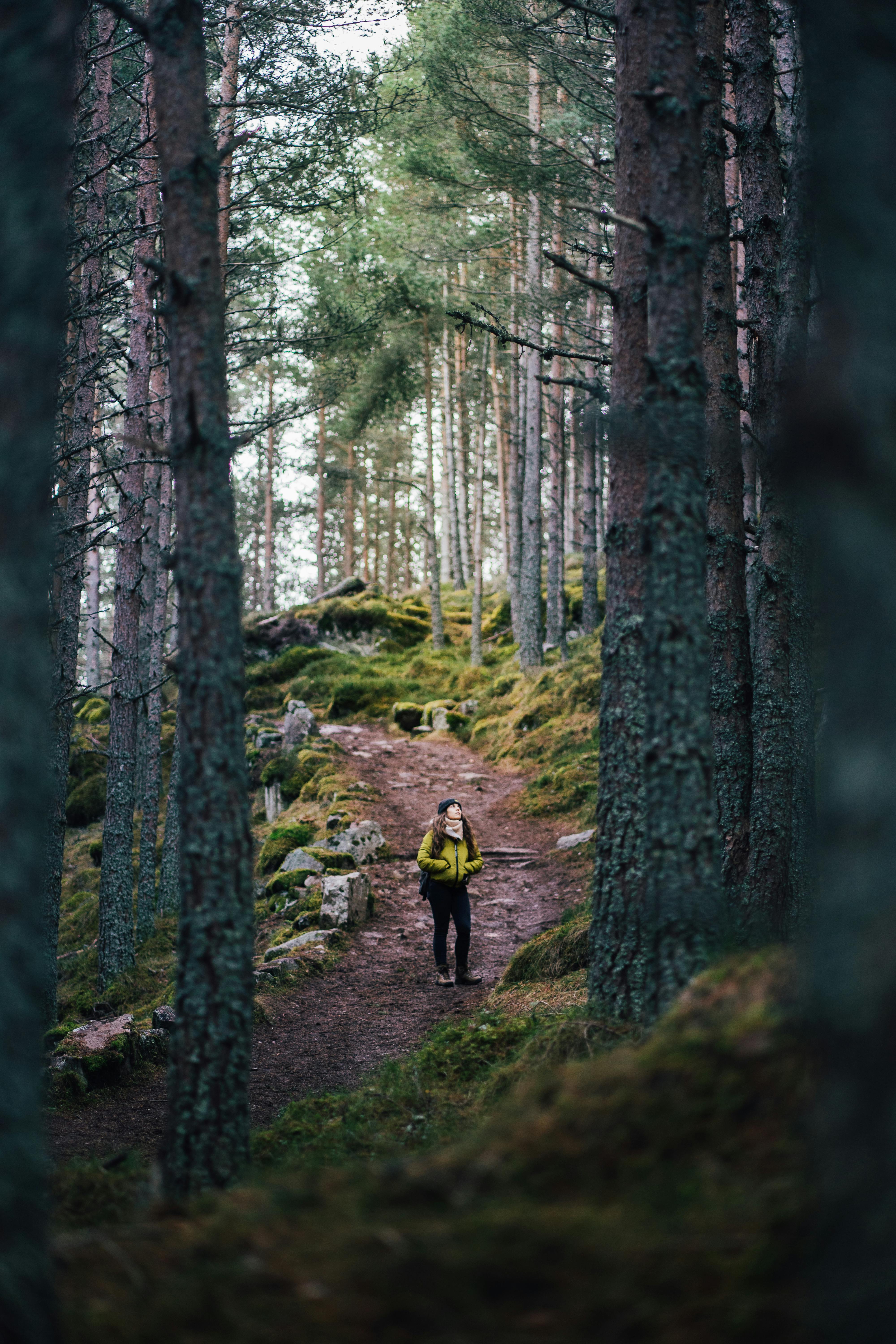 Person Walking on a Pathway · Free Stock Photo