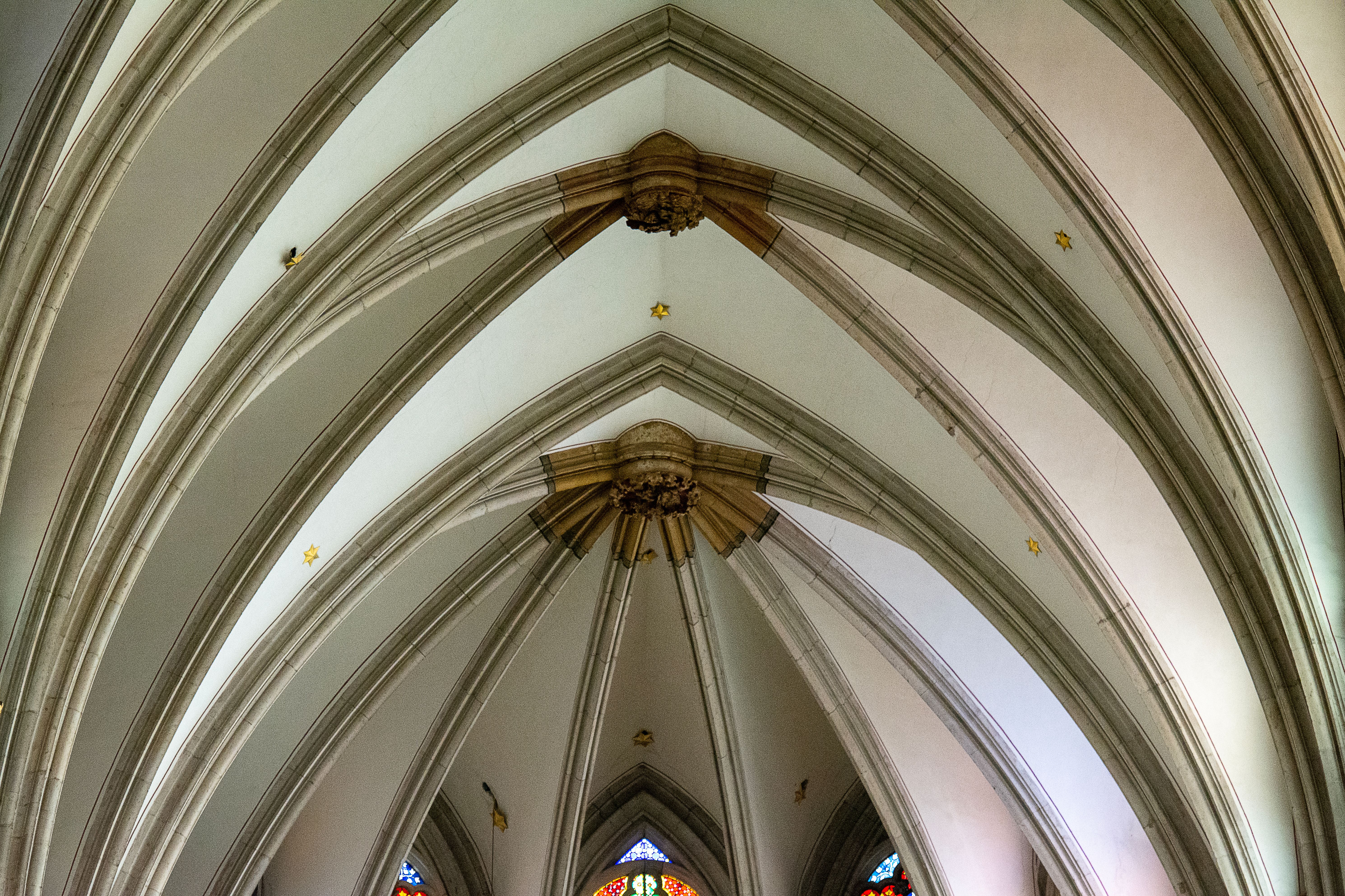Pvc Ceiling Photos, Download The BEST Free Pvc Ceiling Stock Photos ...