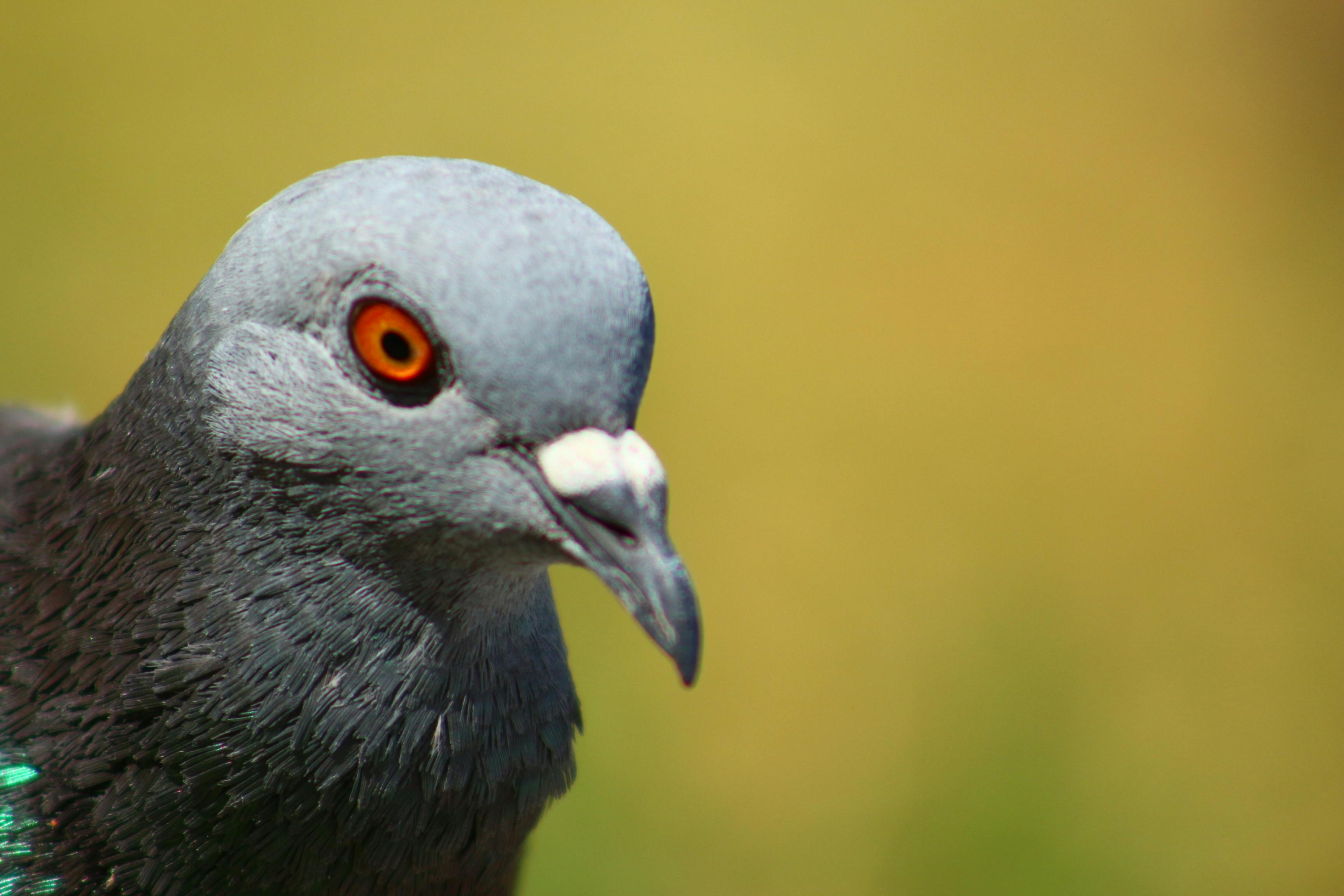 Musacan Eruygur - Photography