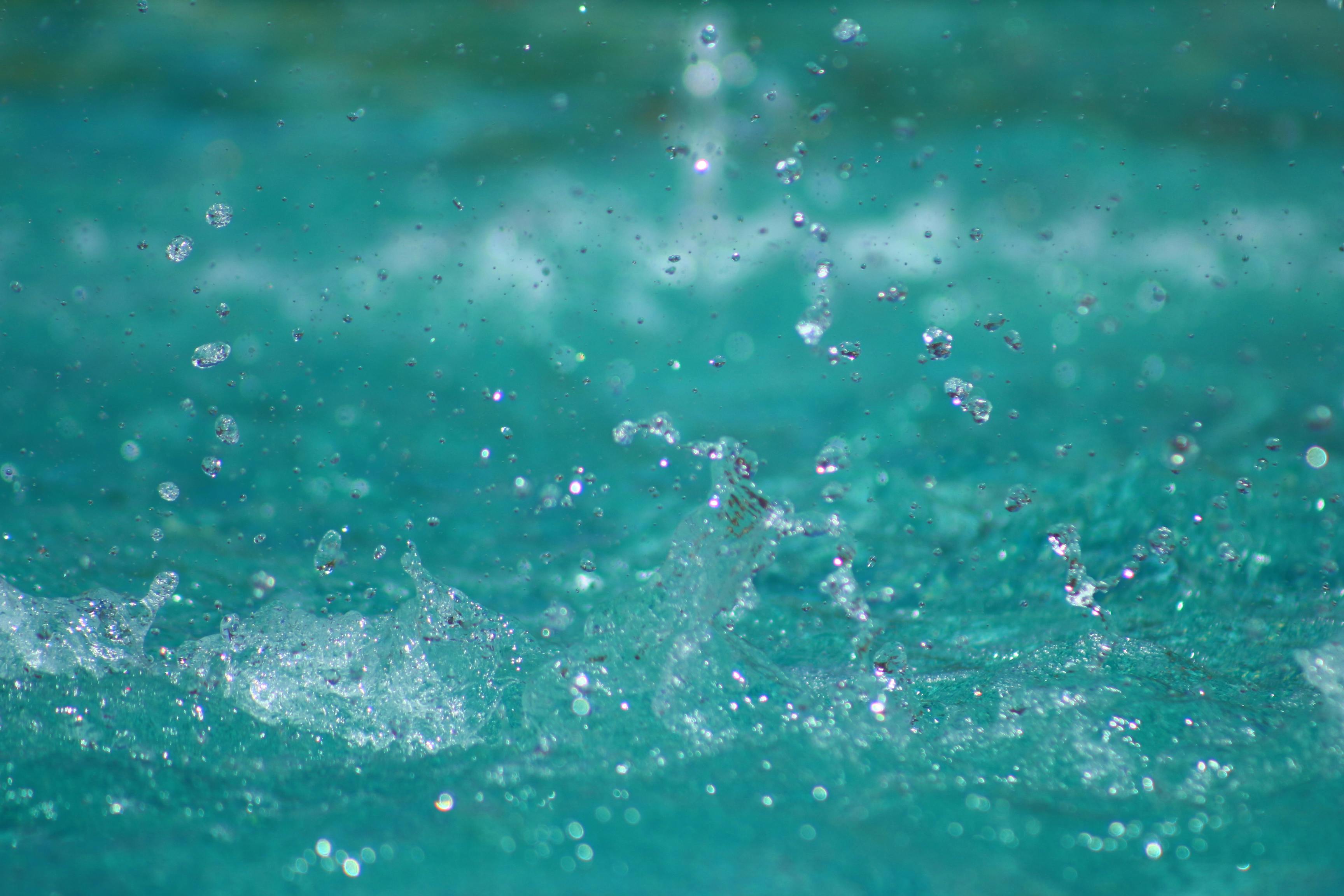 Musacan Eruygur - Photography