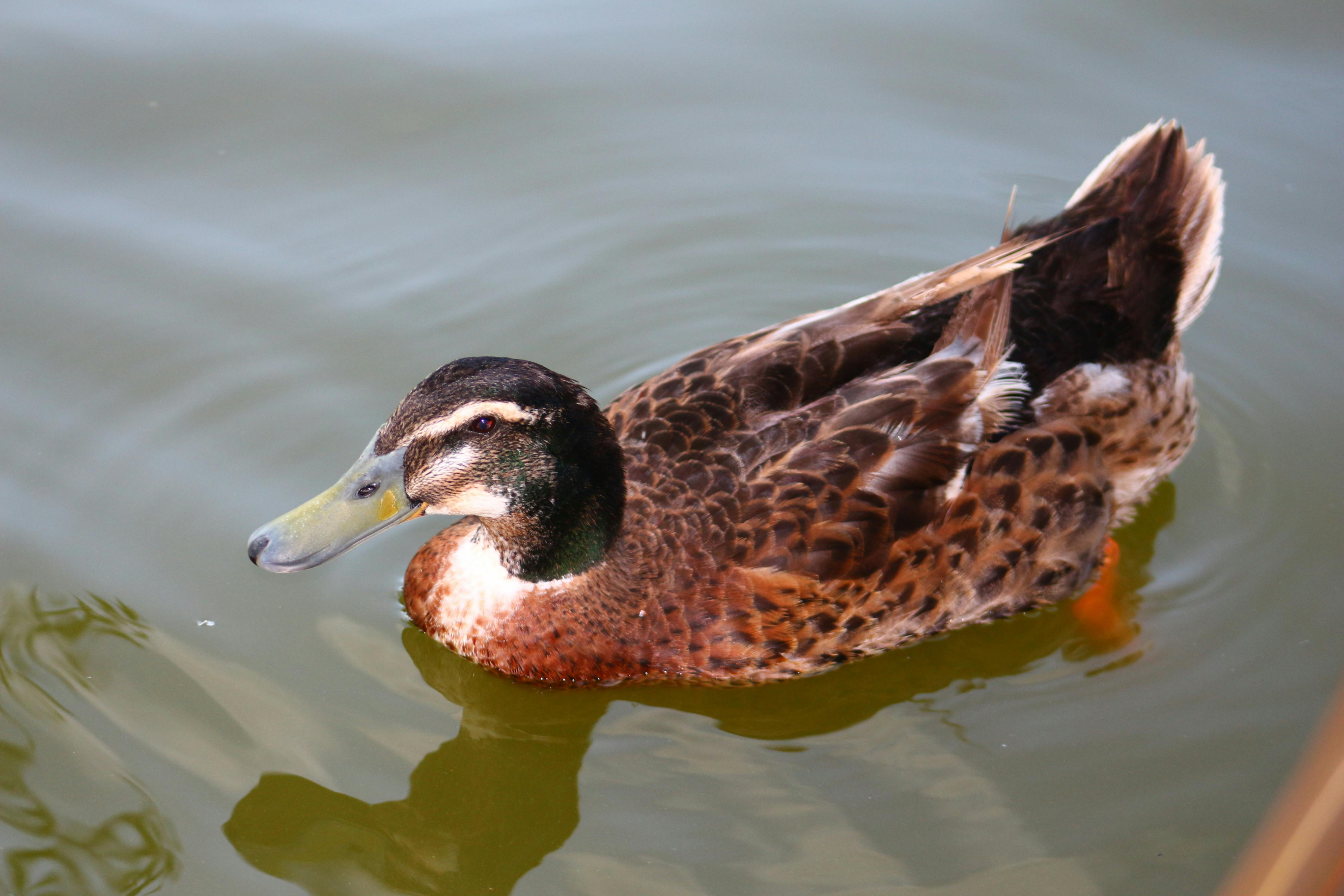 Musacan Eruygur - Photography