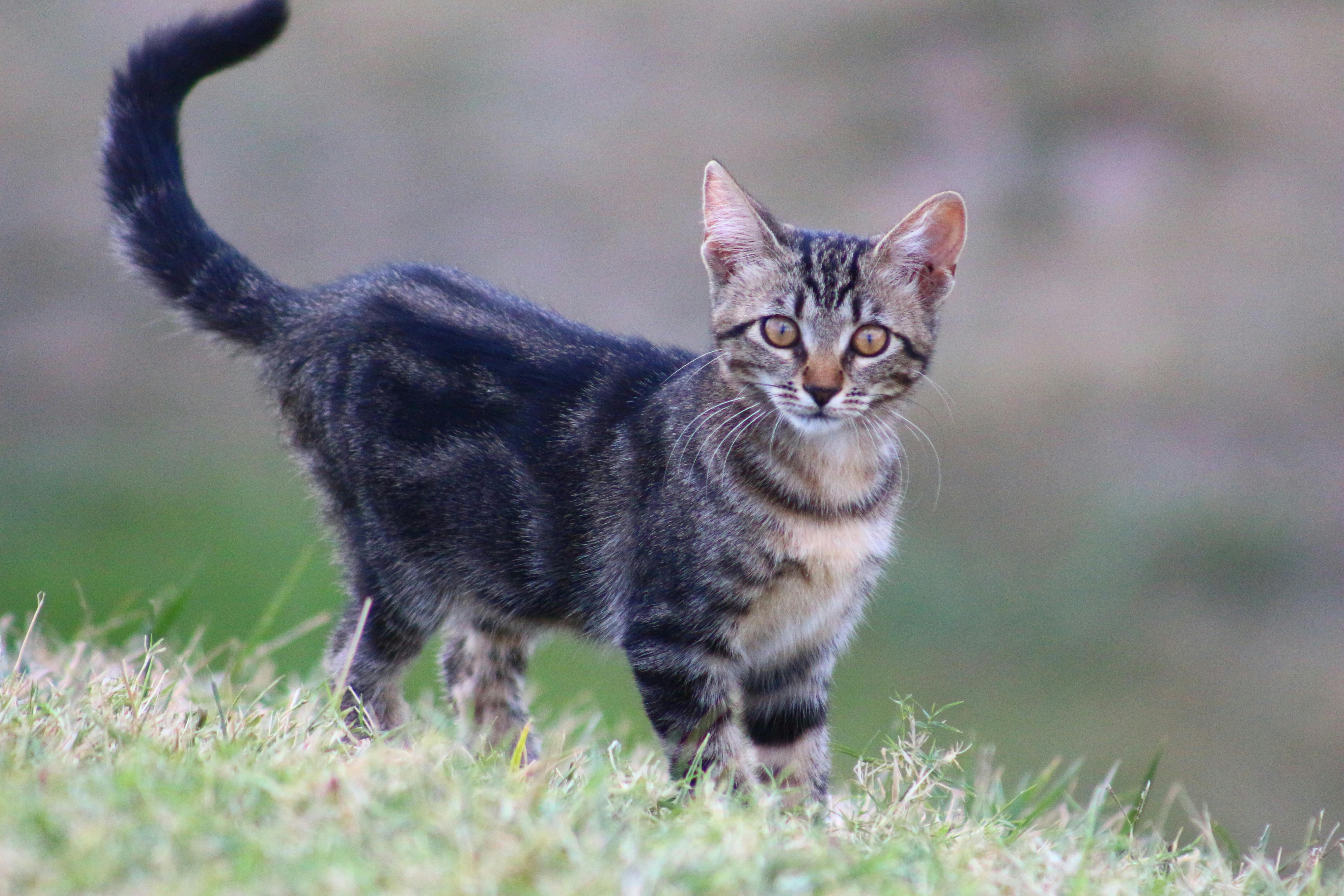 Musacan Eruygur - Photography