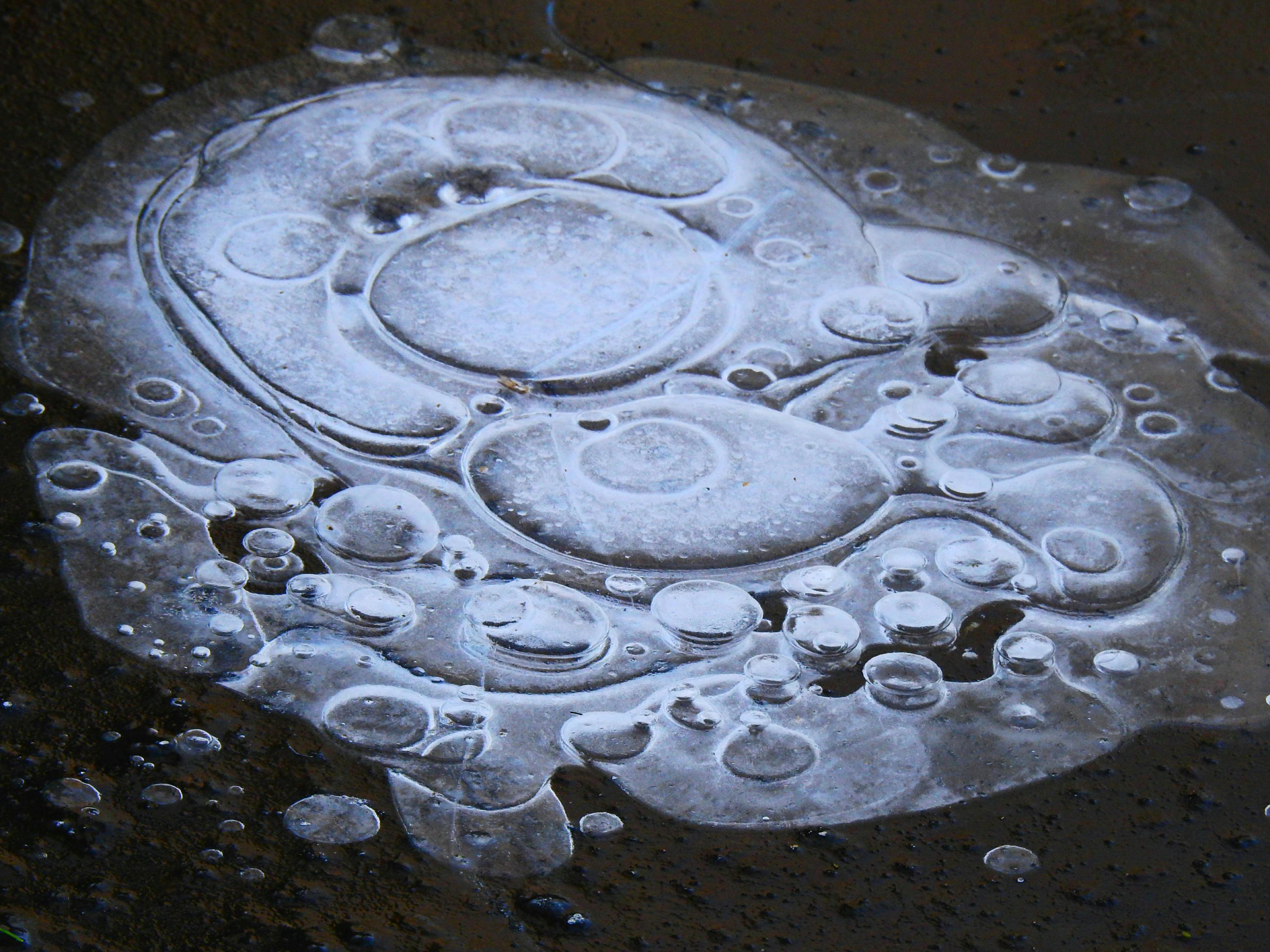 Mabel Amber – Fotografie