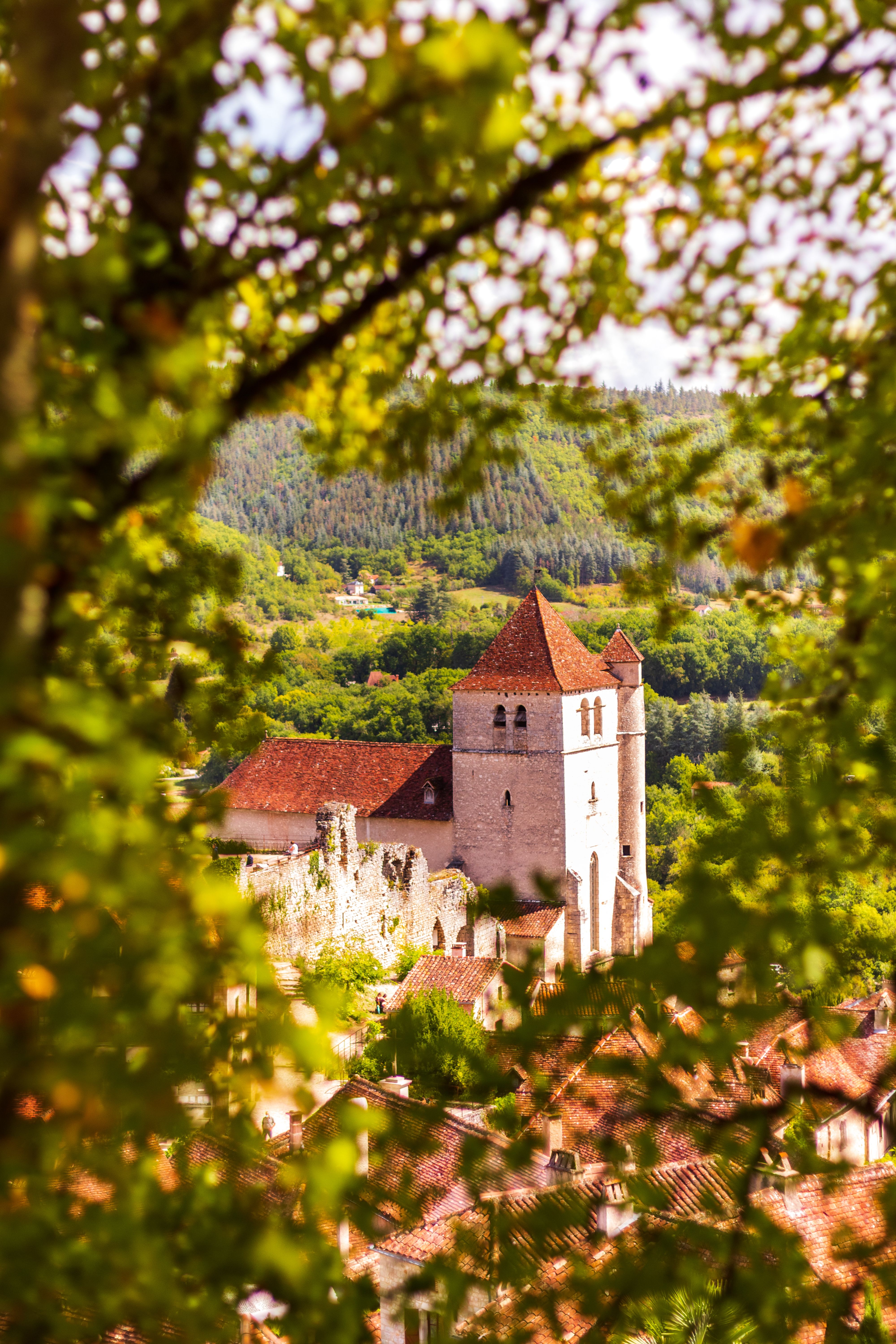 Landscape Castle Between Tree Branches · Free Stock Photo