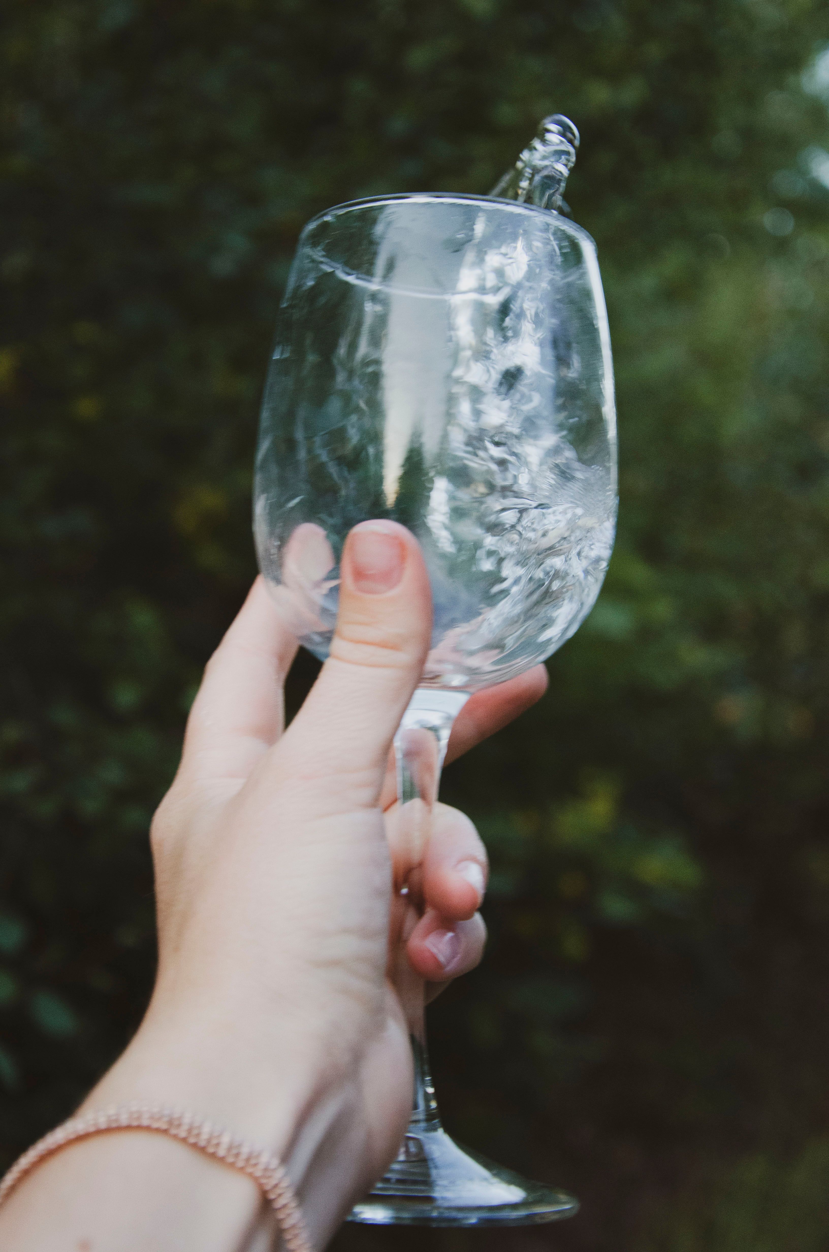 Person Holding Wine Glass · Free Stock Photo