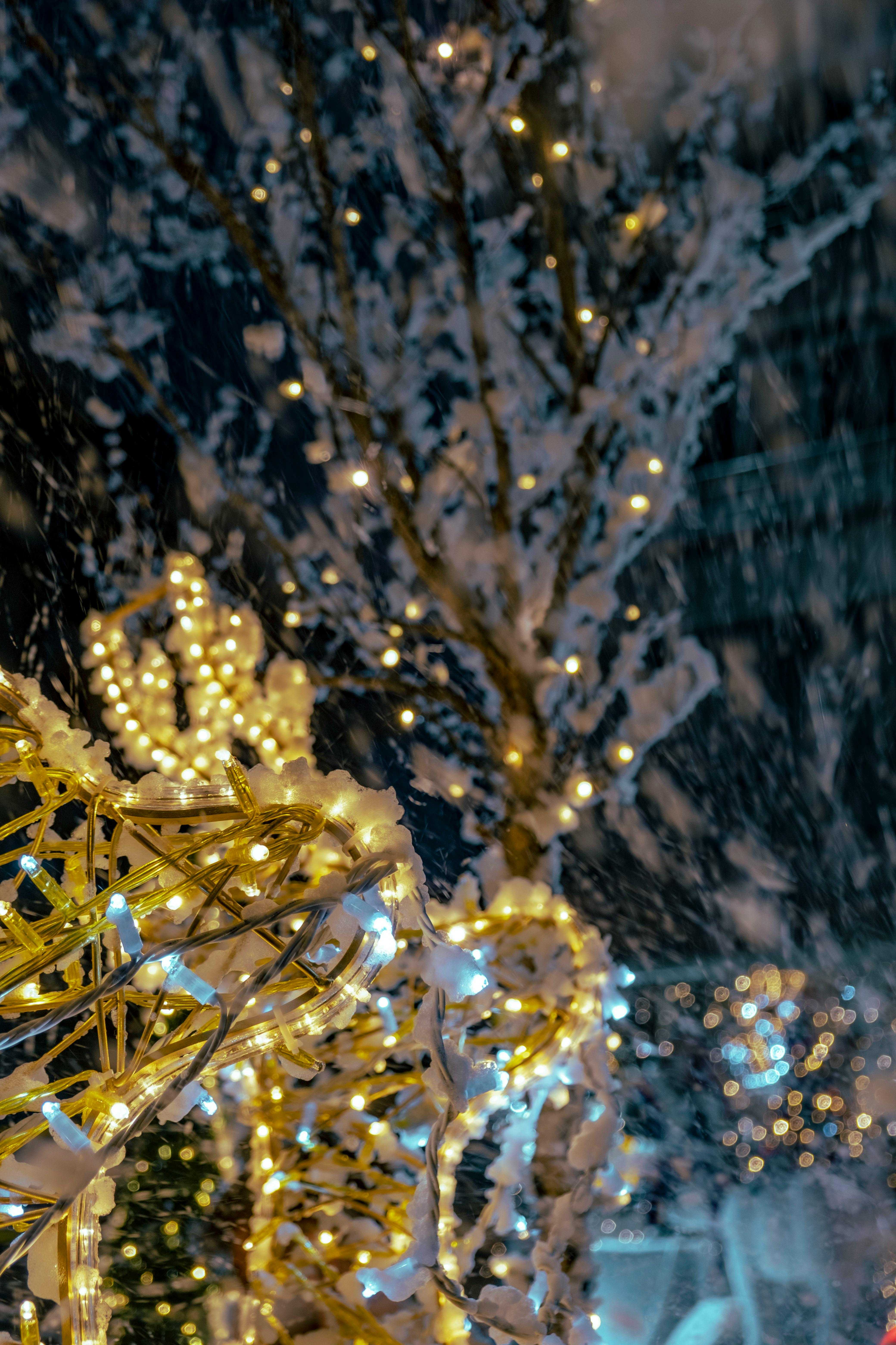Free stock photo of bright, christmas images, cold, color, crystal ...
