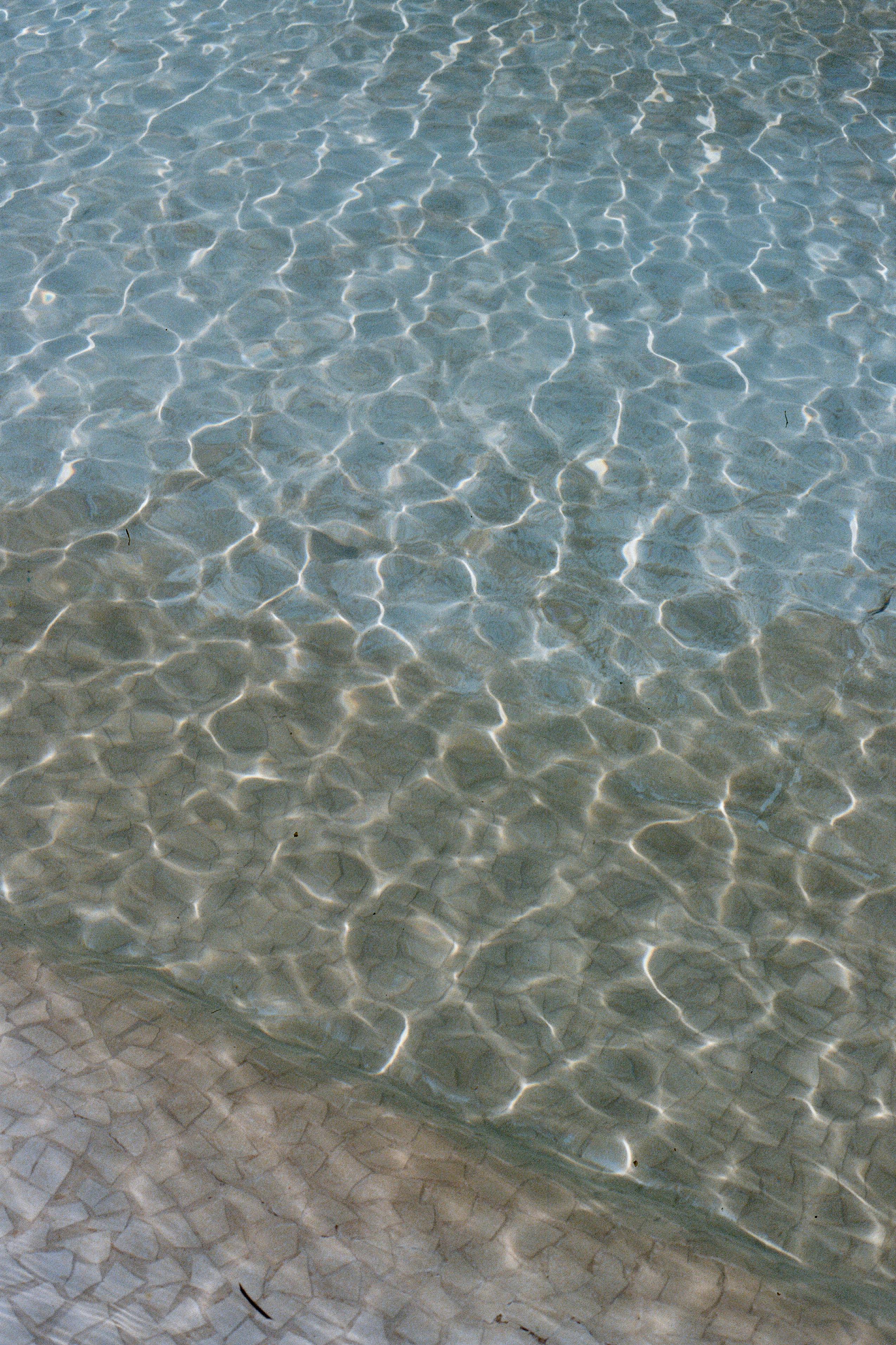 Shallow Water in Pool · Free Stock Photo