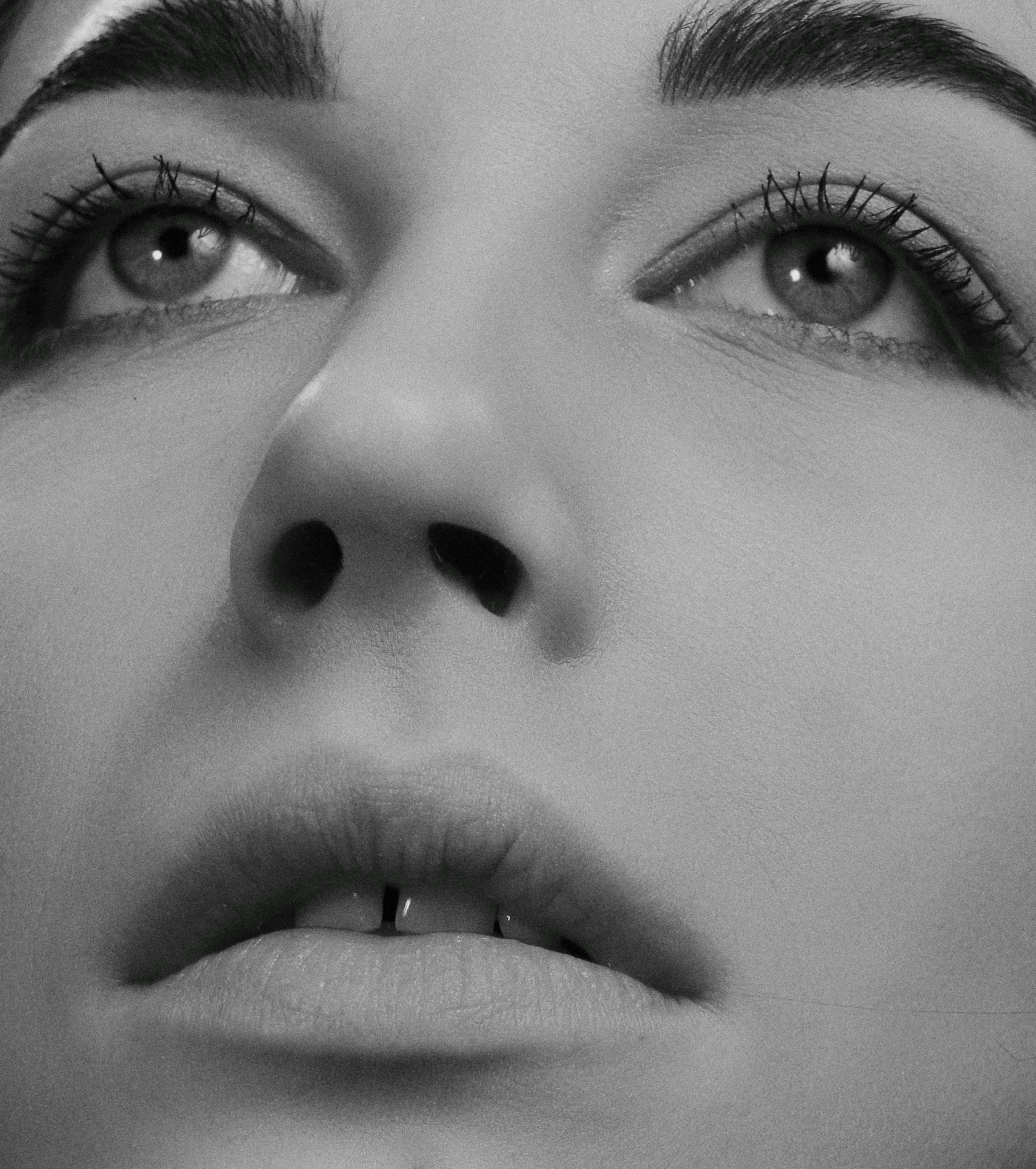 Face of Model · Free Stock Photo