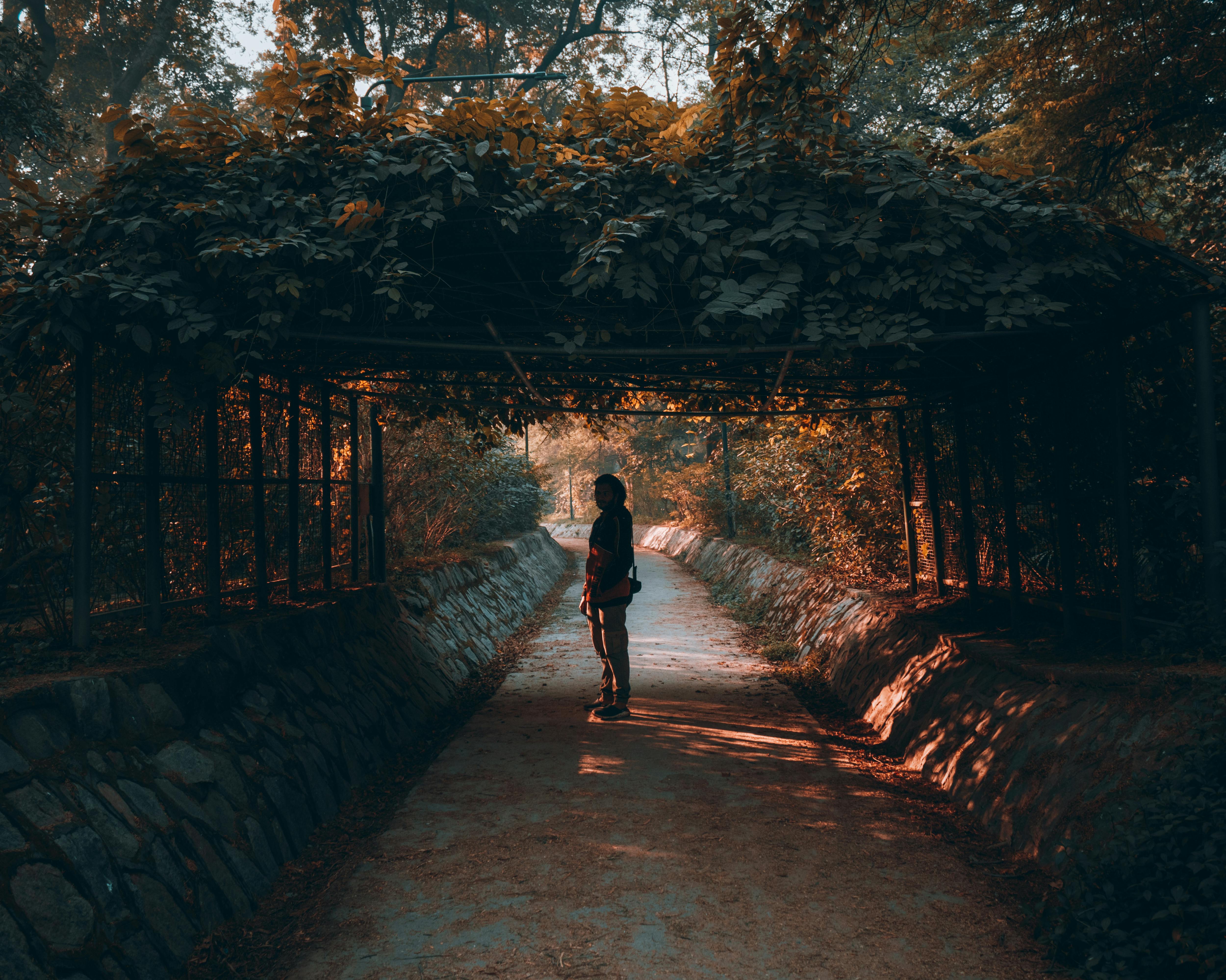 Man Standing on a Pathway in a Park in Autumn · Free Stock Photo