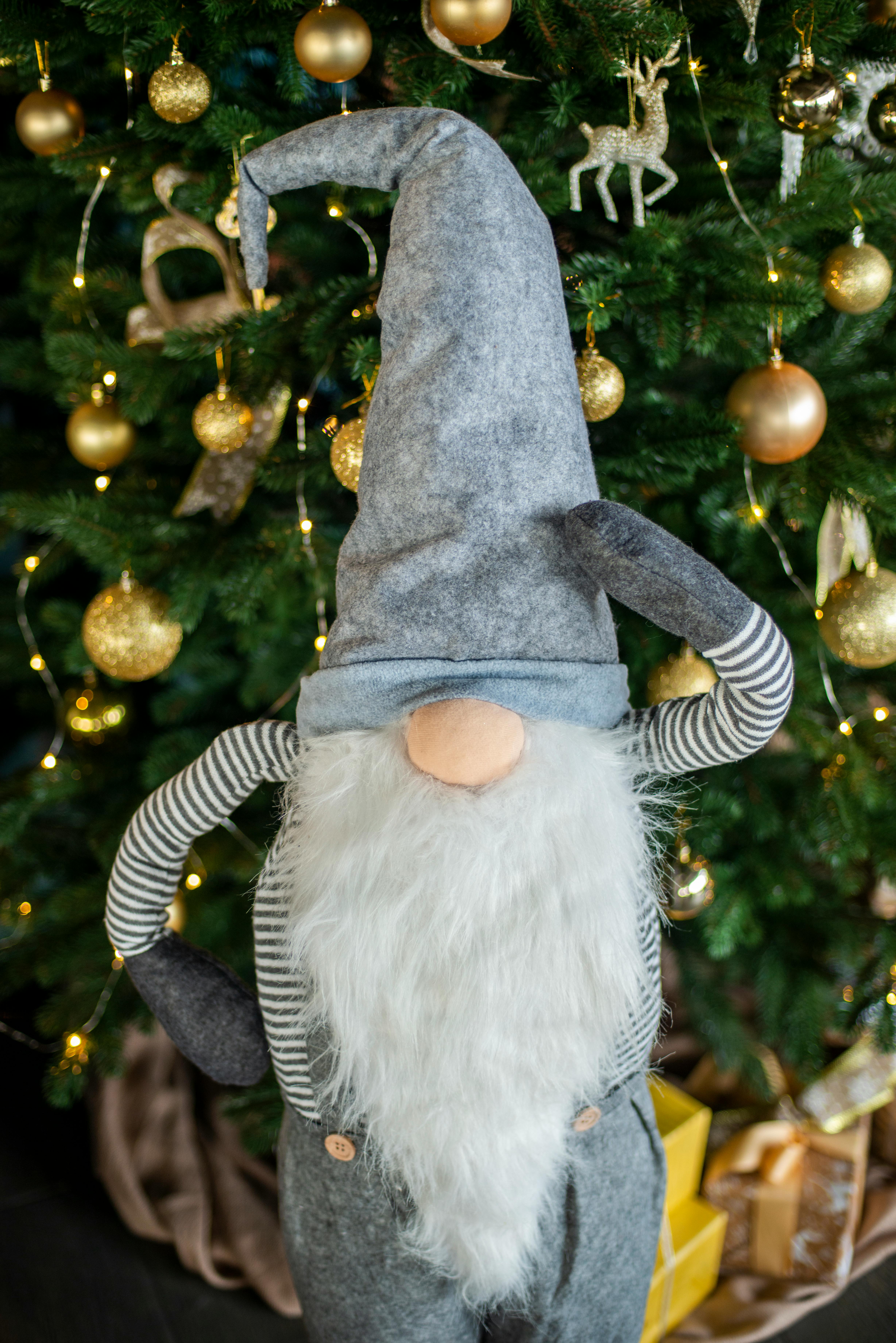 Gray Gnome in Close Up Shot · Free Stock Photo