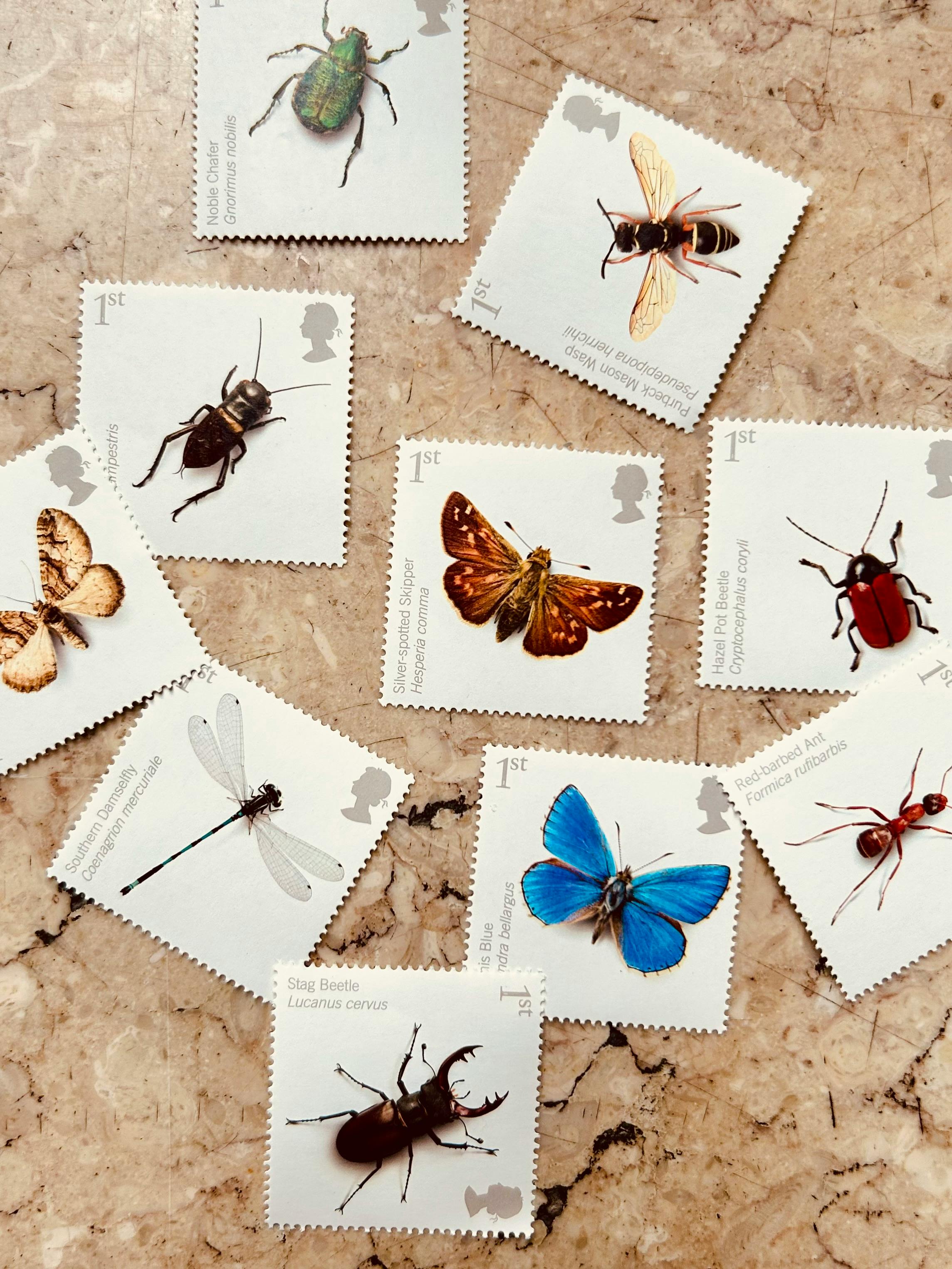 Different Insects in Post Stamps · Free Stock Photo