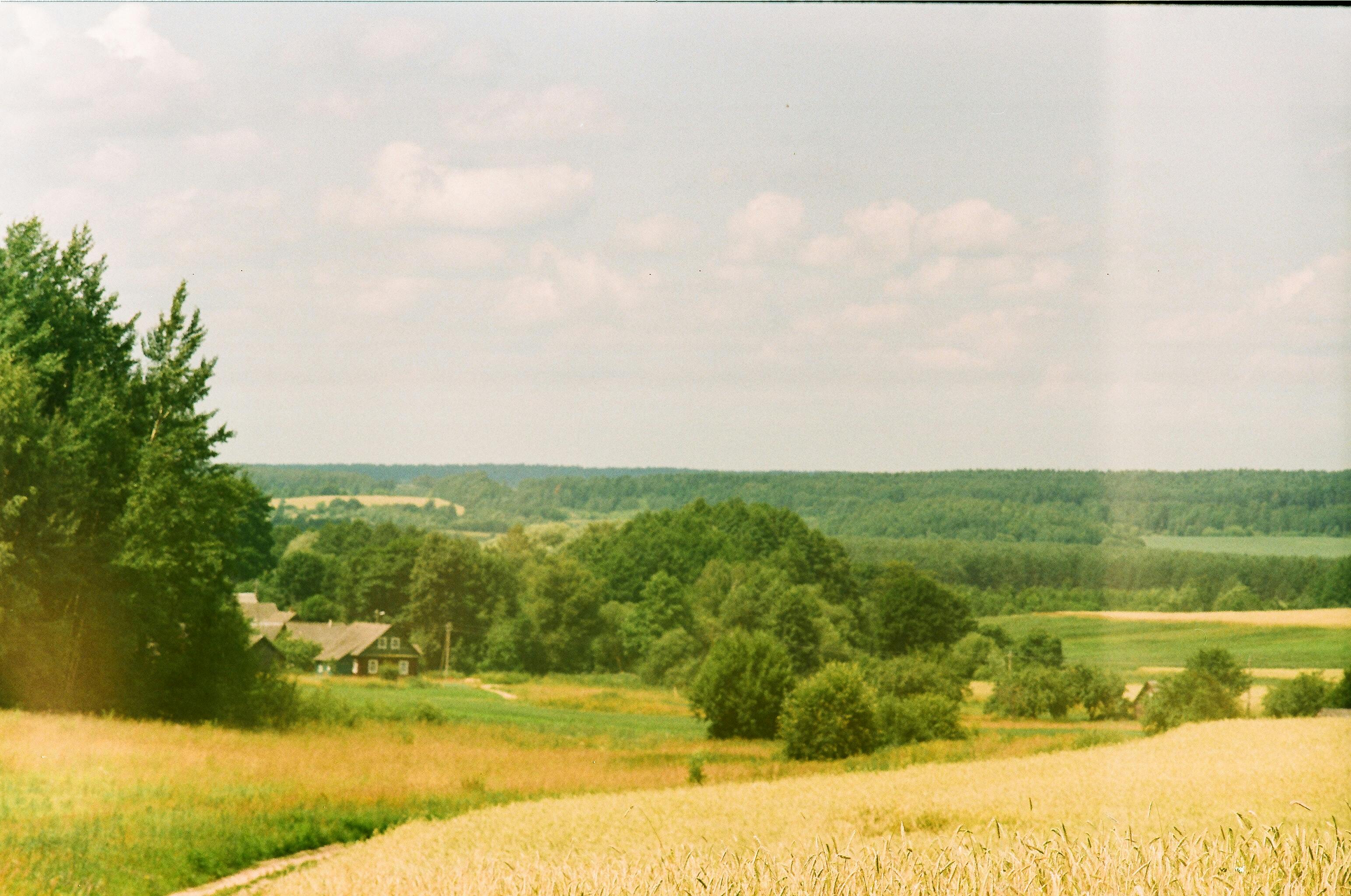 Saffron Fields Photos, Download The BEST Free Saffron Fields Stock ...