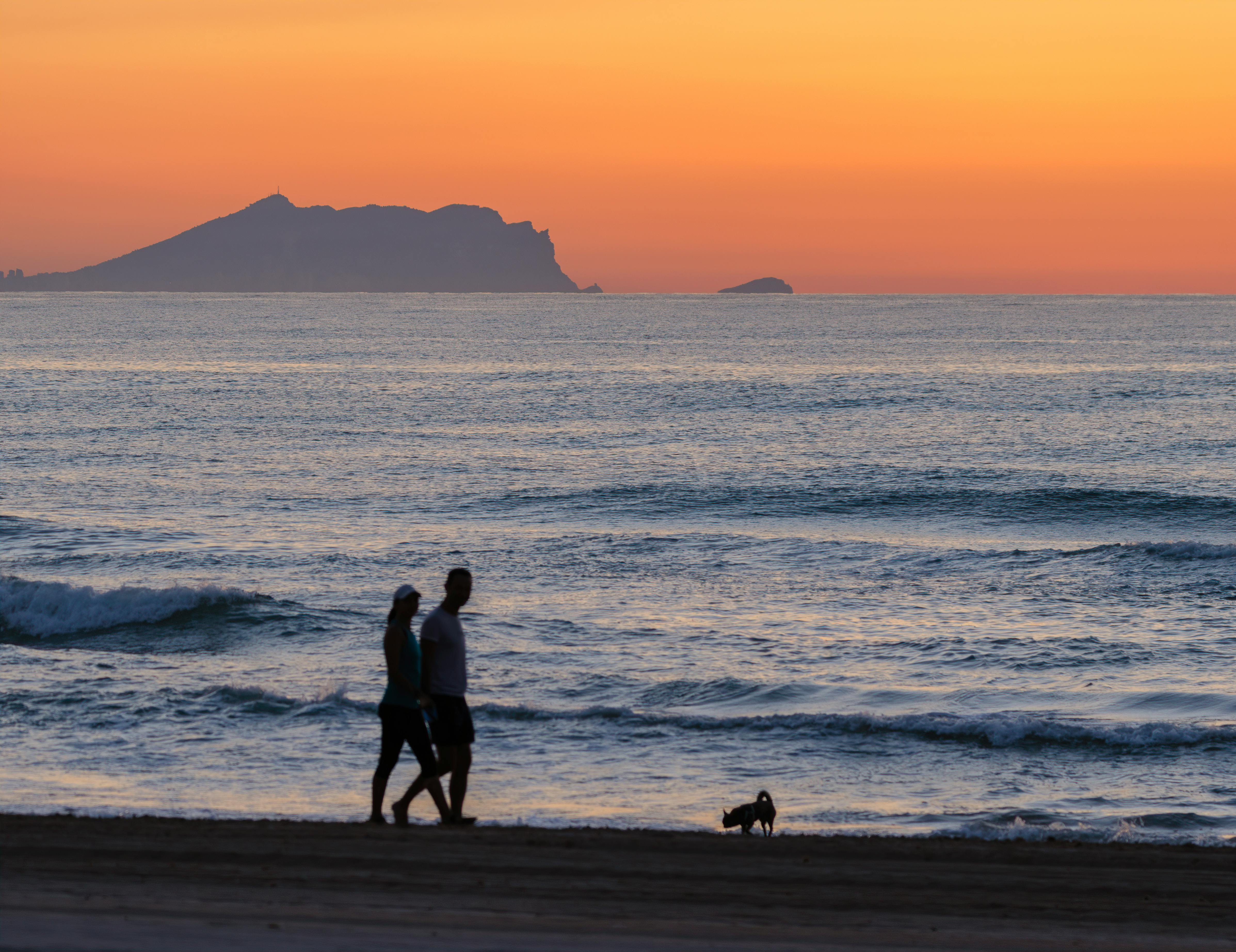 People Walking on the Beach · Free Stock Photo