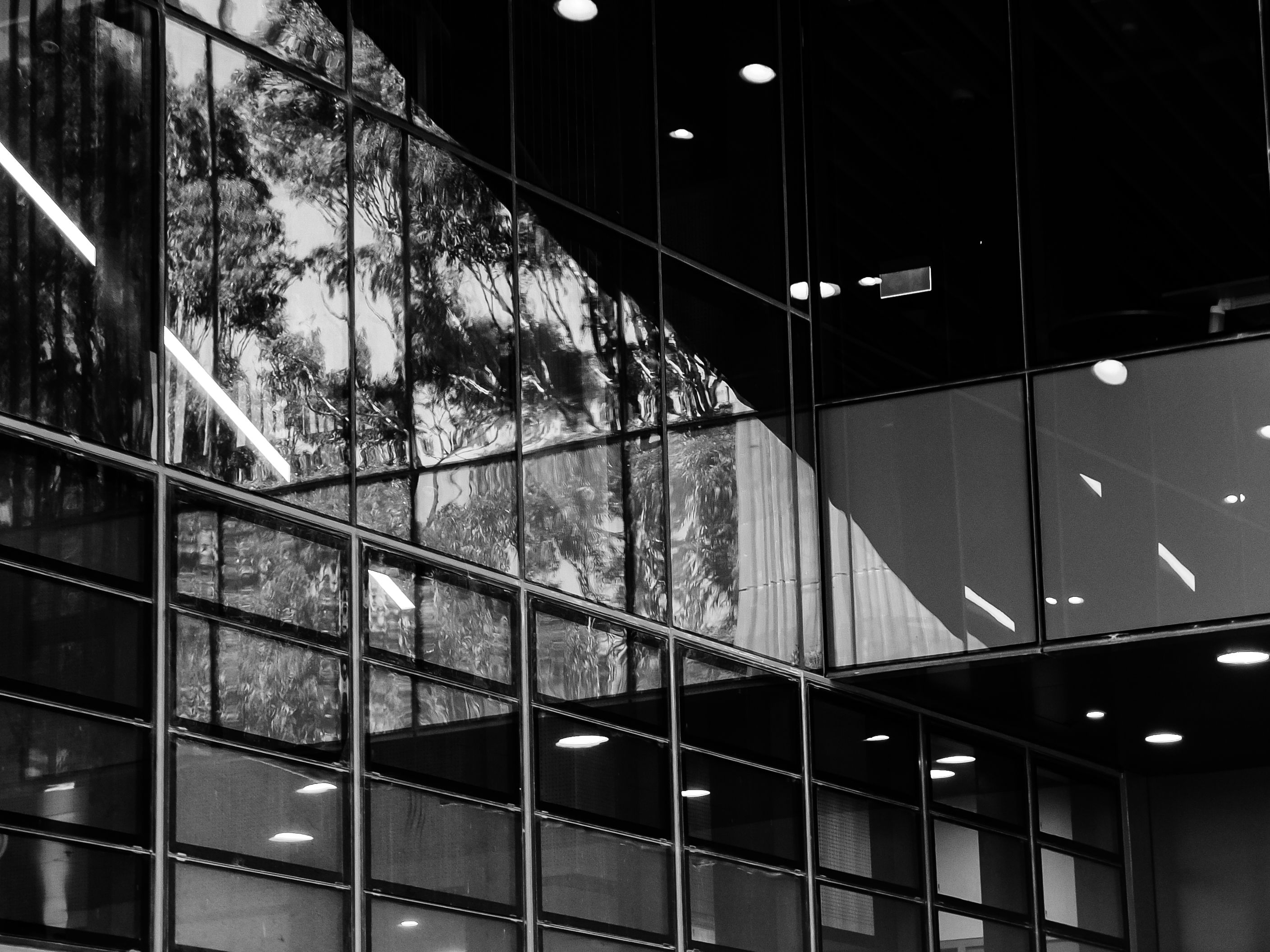 Grayscale Photo of a Glass Building · Free Stock Photo