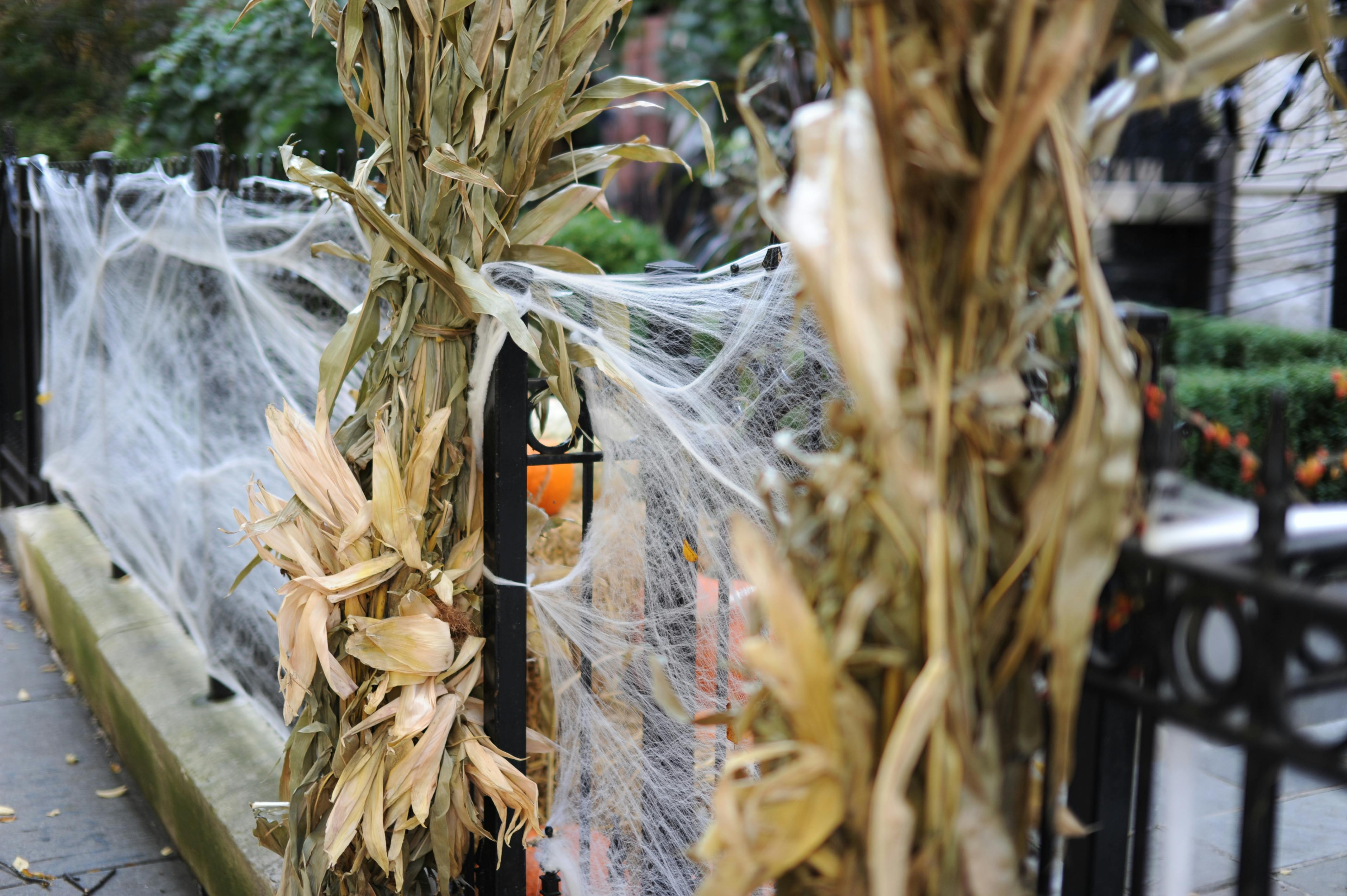 Cobweb Halloween Decor on Gate · Free Stock Photo