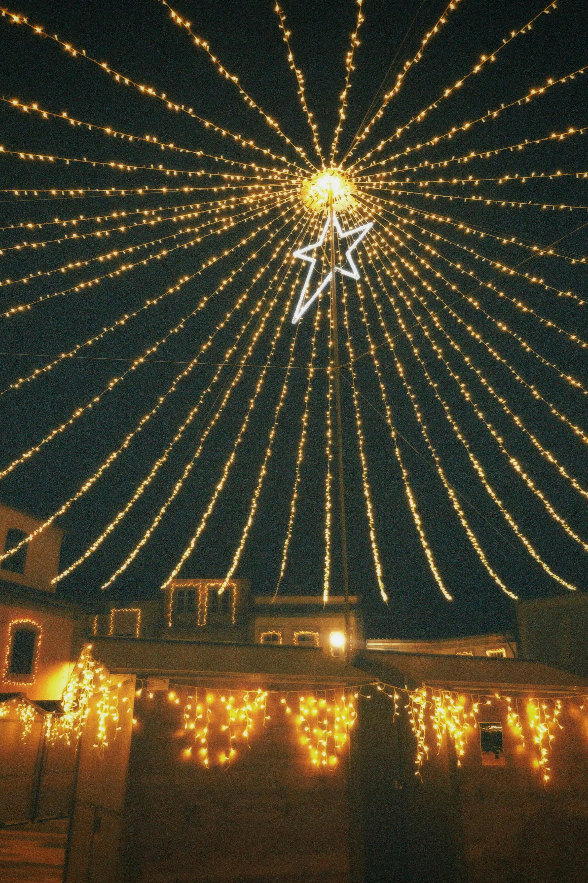 Bruno Pedro - Fotografía