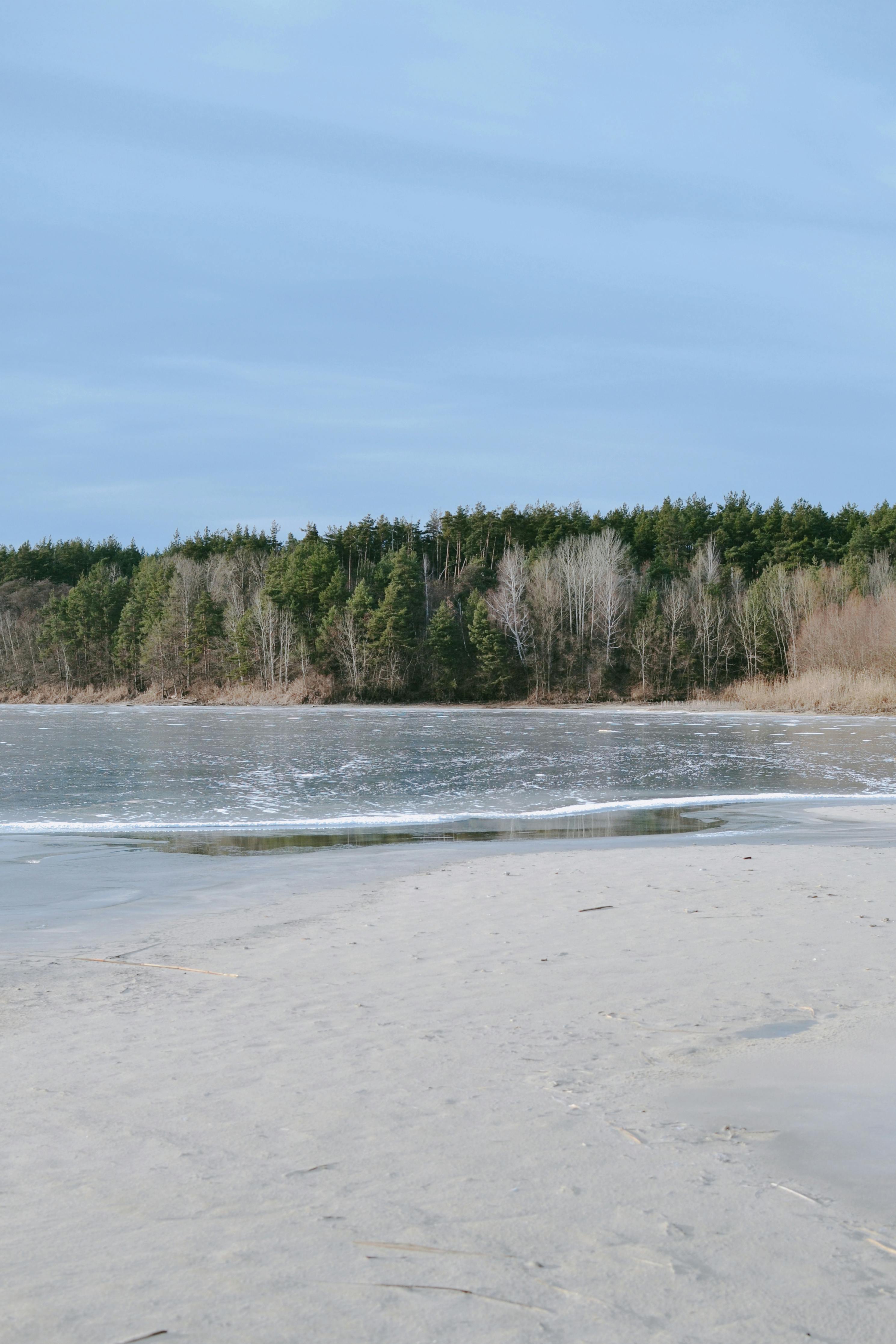 Overcast Beach Photos, Download The BEST Free Overcast Beach Stock ...