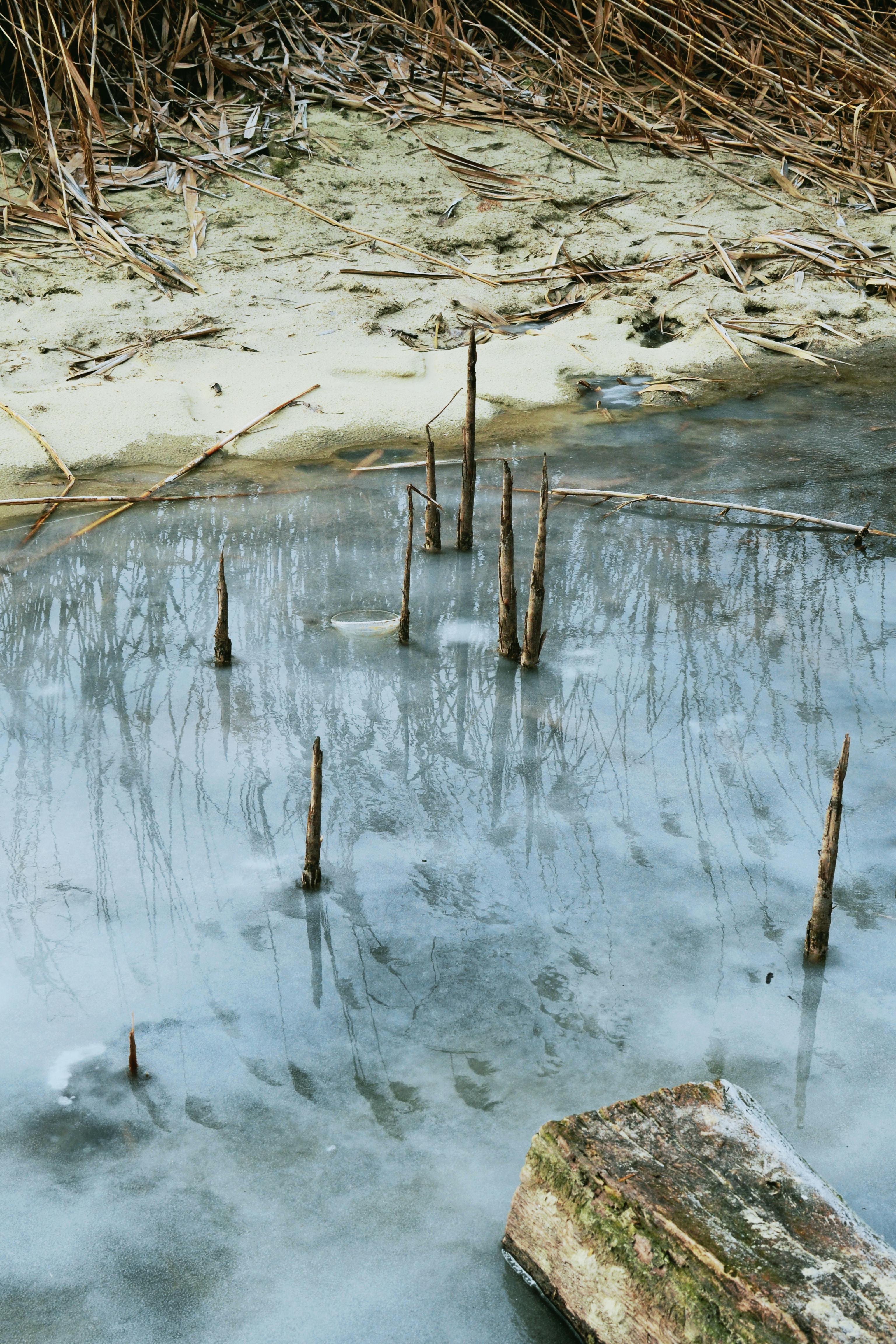 Shapes on Sand · Free Stock Photo