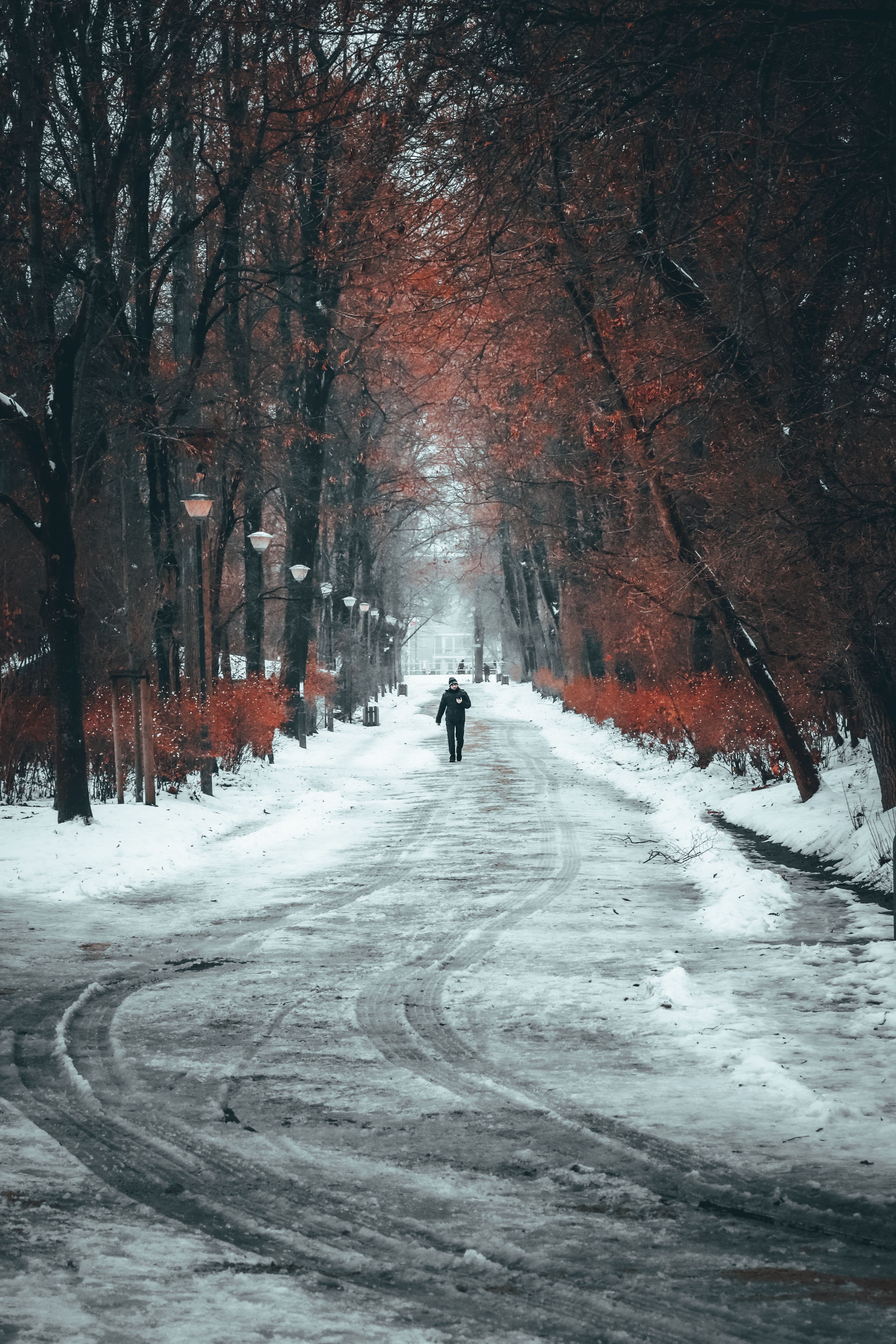 Alley in Snow · Free Stock Photo