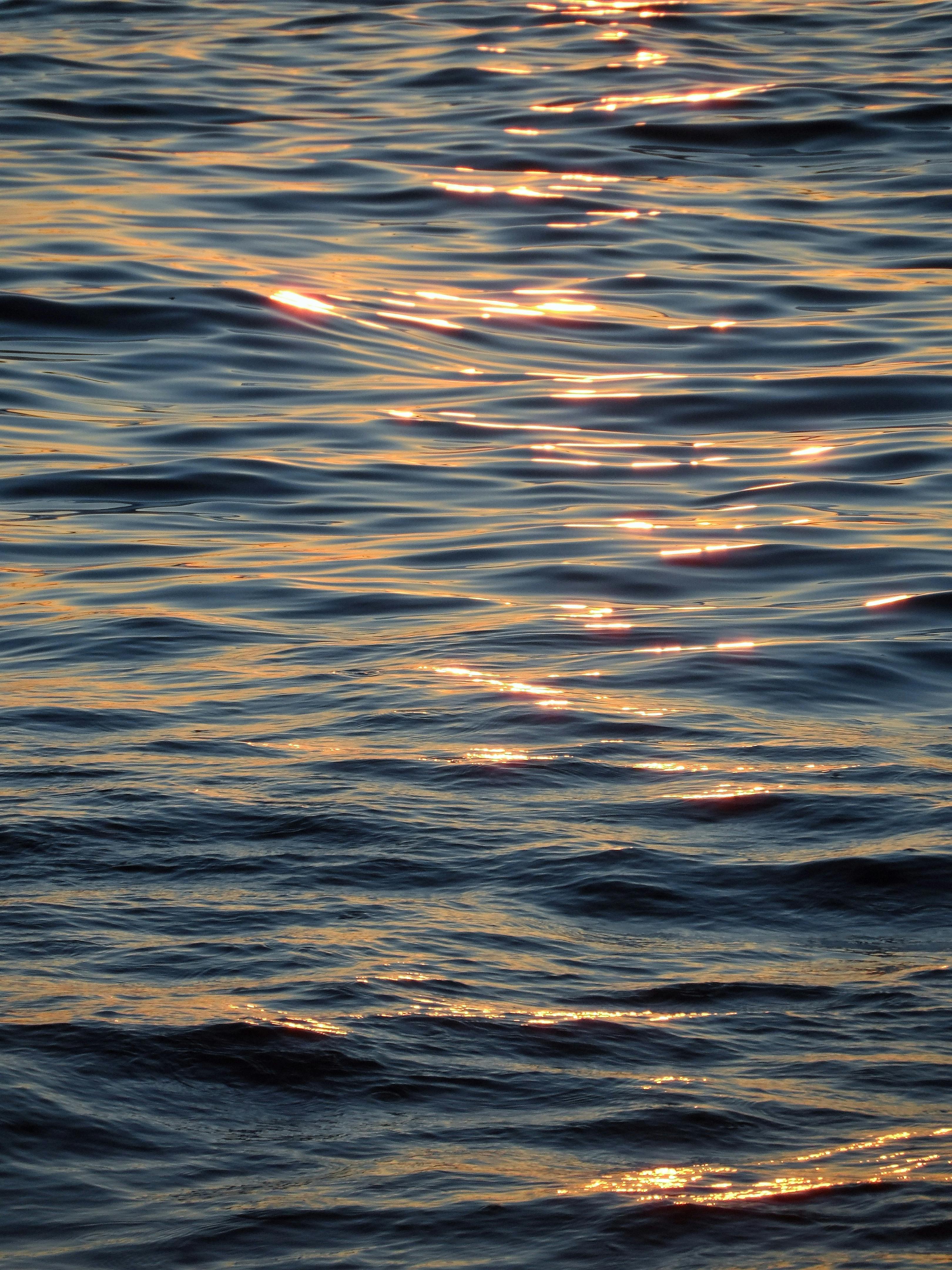 Shiny Water Surface · Free Stock Photo