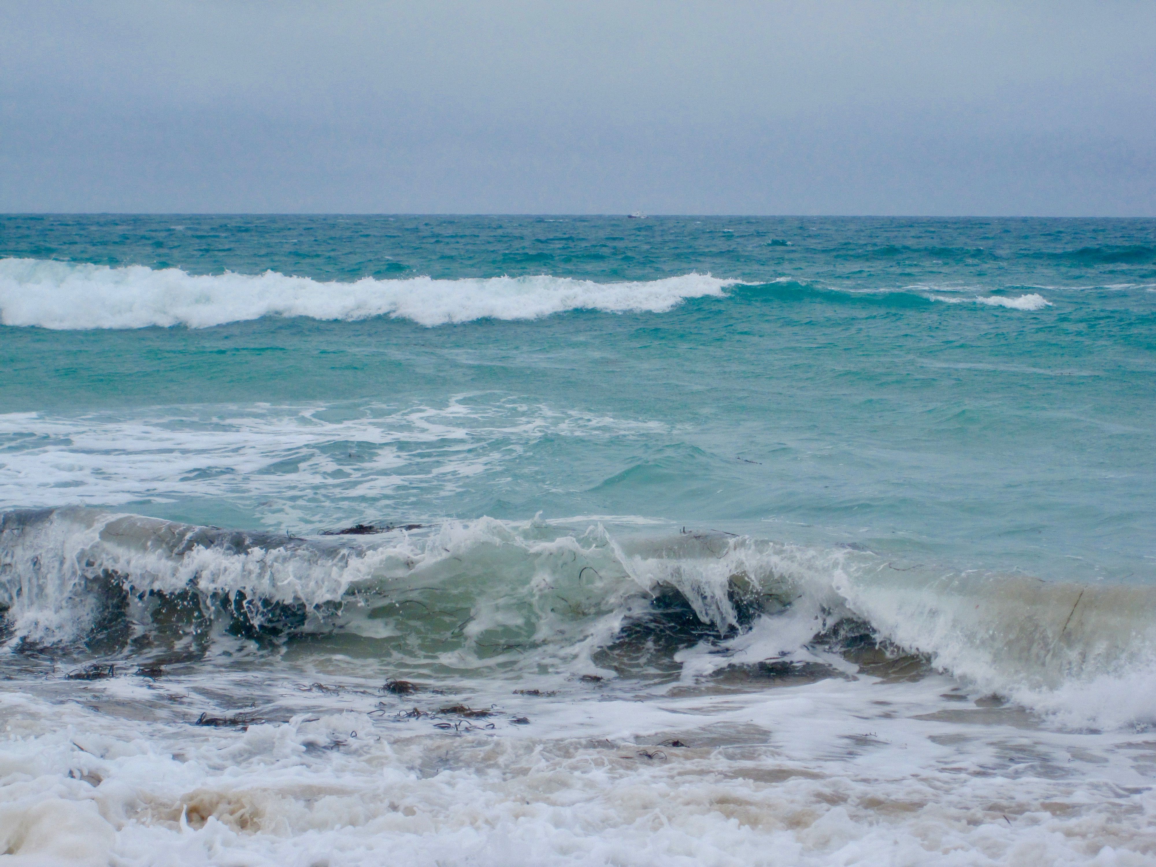 Ocean Waves Crashing on the Shore · Free Stock Photo